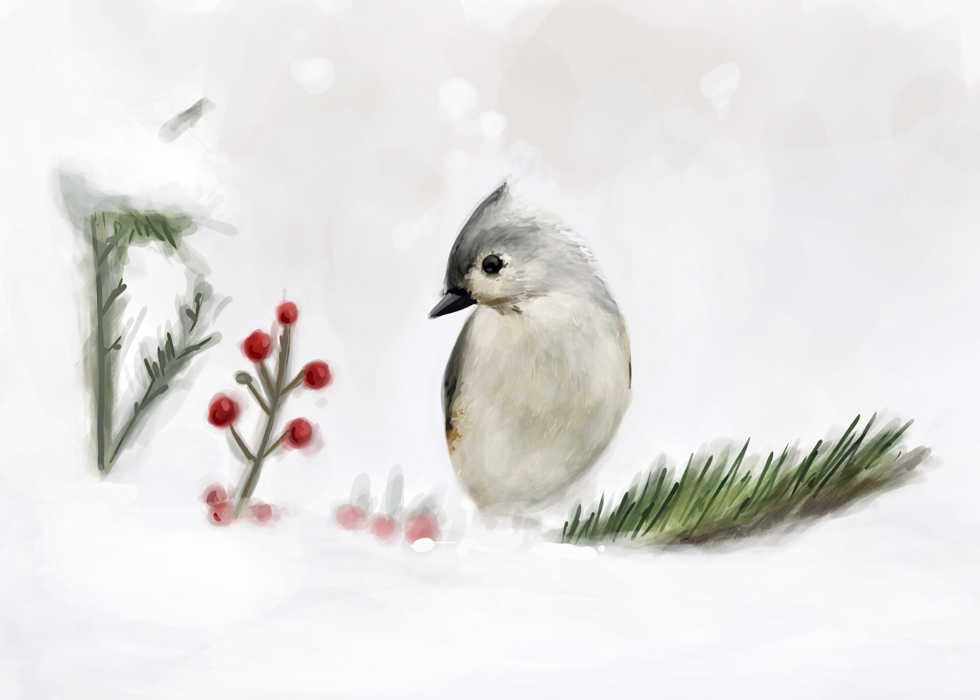 ArtStation - Winter Bird Studies