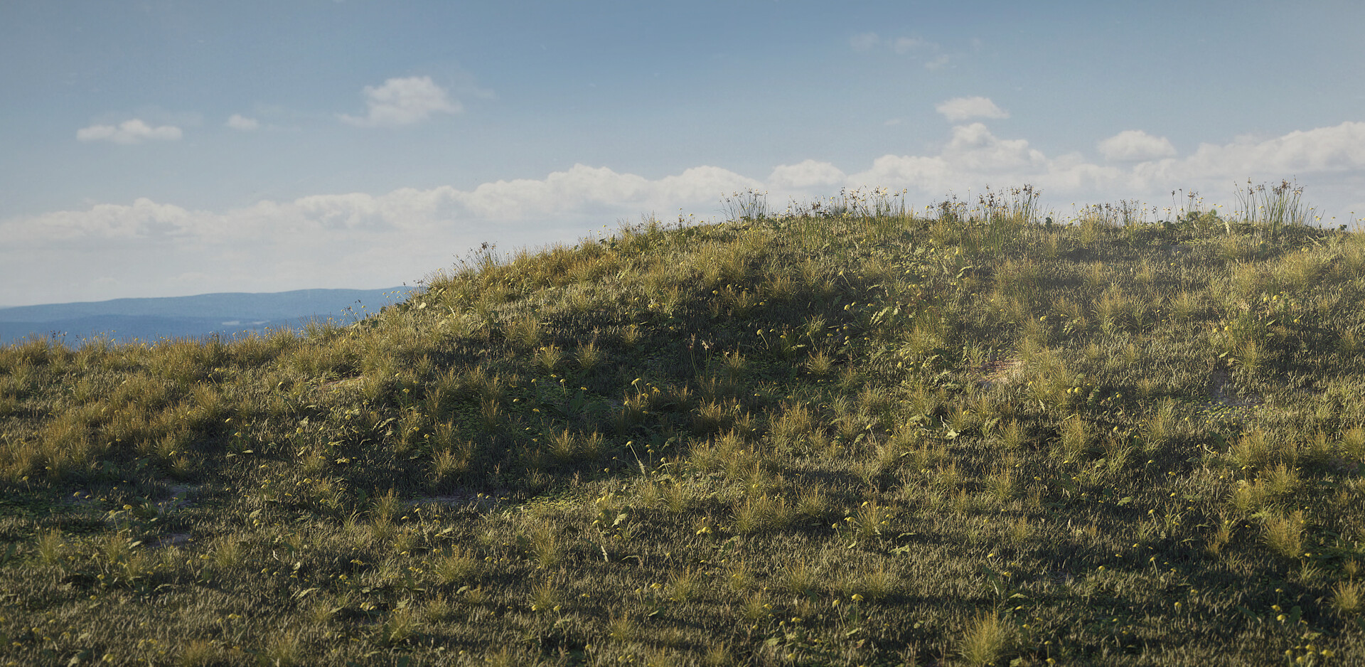 ArtStation - GRASS