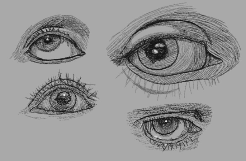 Zachary Stevens - Eyes and Nose Studies