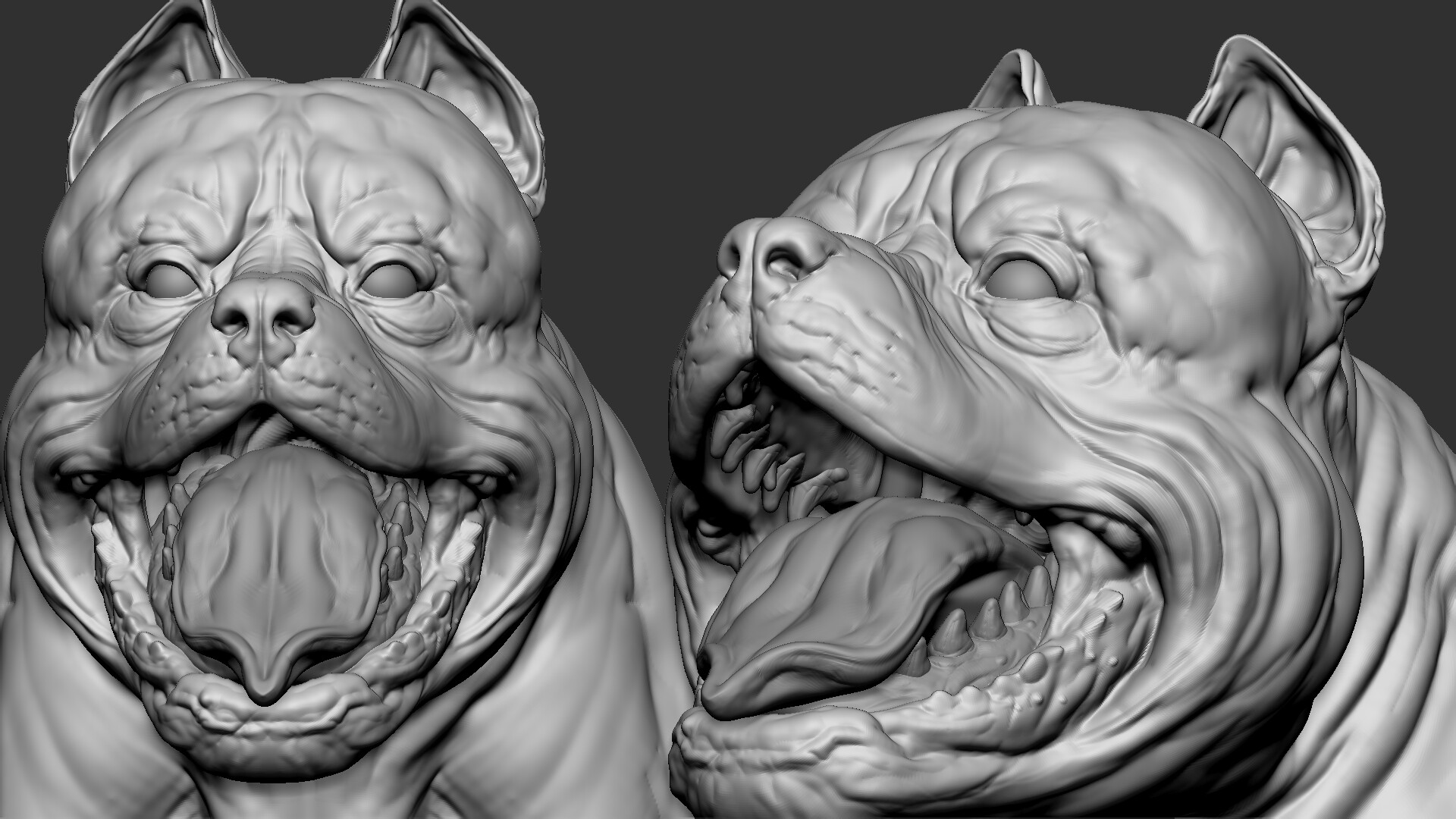 ArtStation - pitbull - Animal study