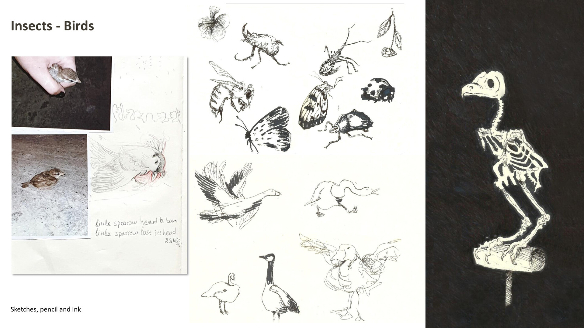 Despina Mark - UAL Accepted Portfolio