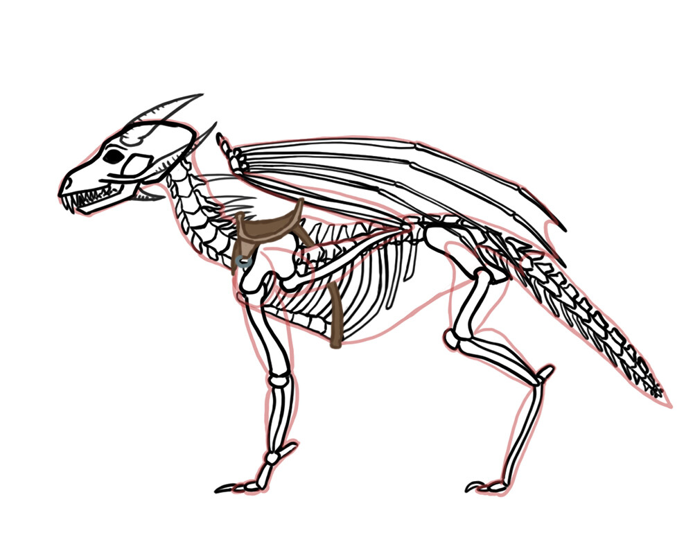 how to draw dragons rides