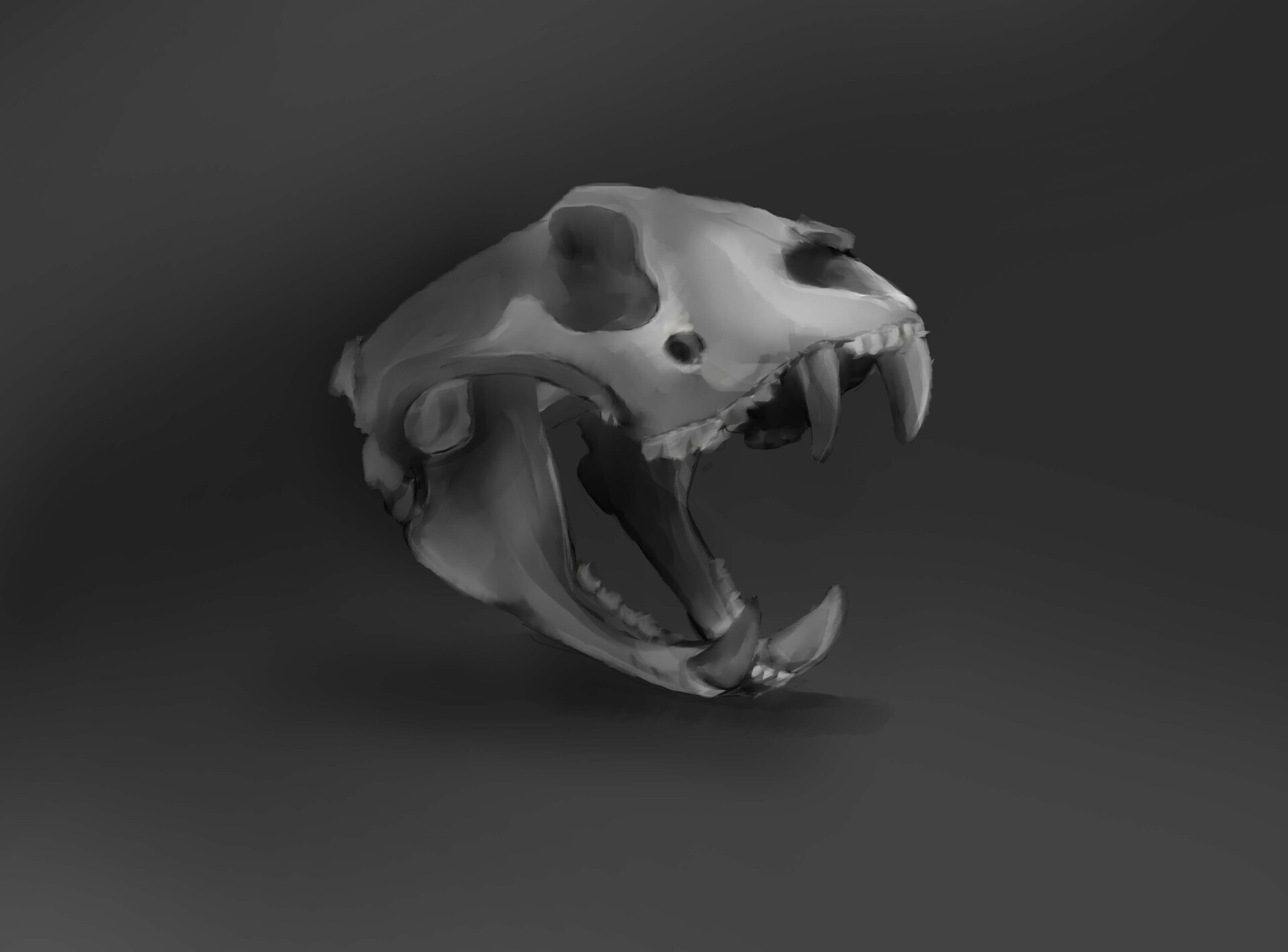 ArtStation - tiger skull