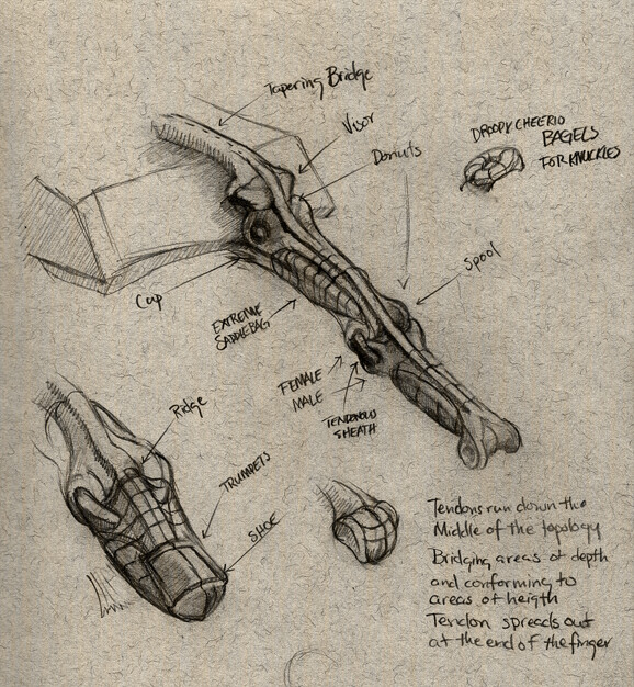 ArtStation - Adventures into Anatomy