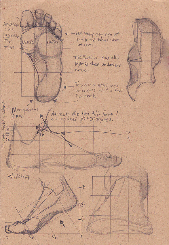 Kenn Wood - Adventures into Anatomy