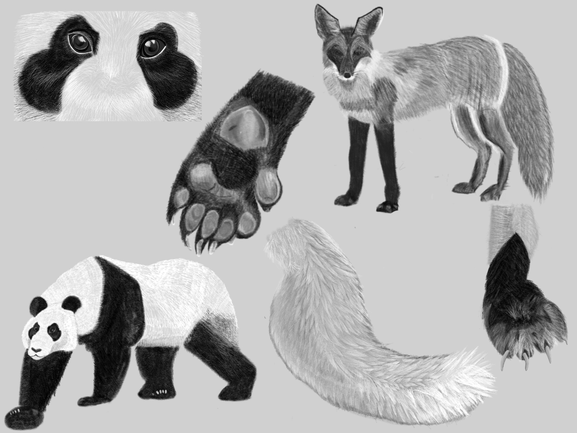 ArtStation - Fox and Panda Studies