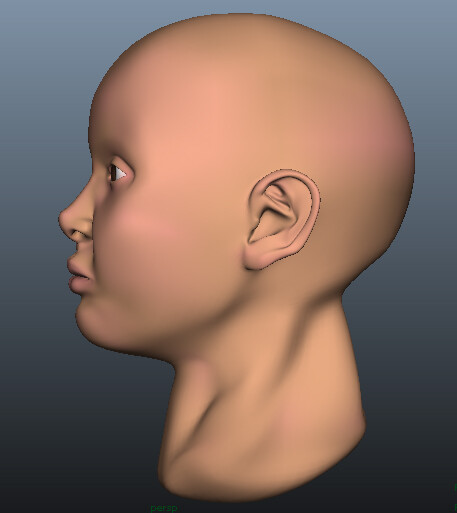 human head profile