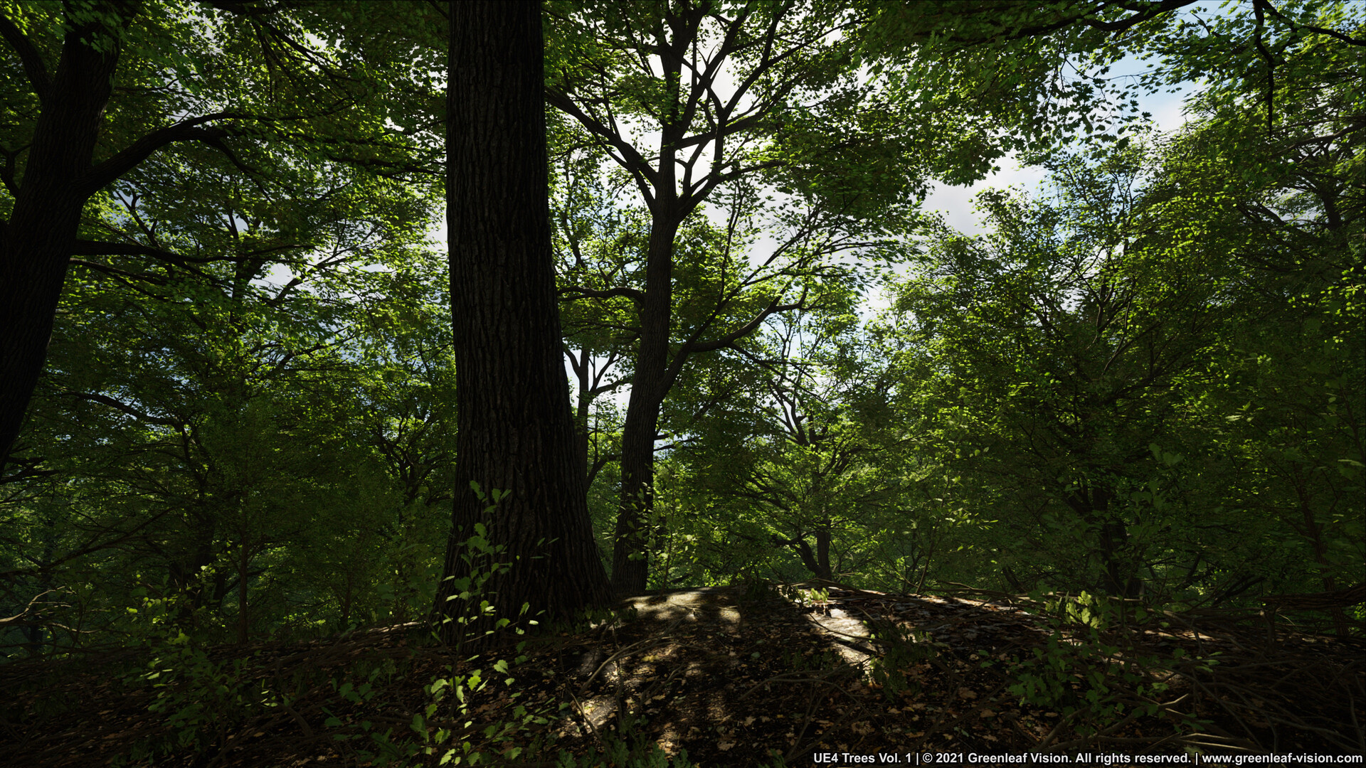 Benjamin Koch - Trees Vol. 1 Pack - Update V1.4 - Unreal Engine 4