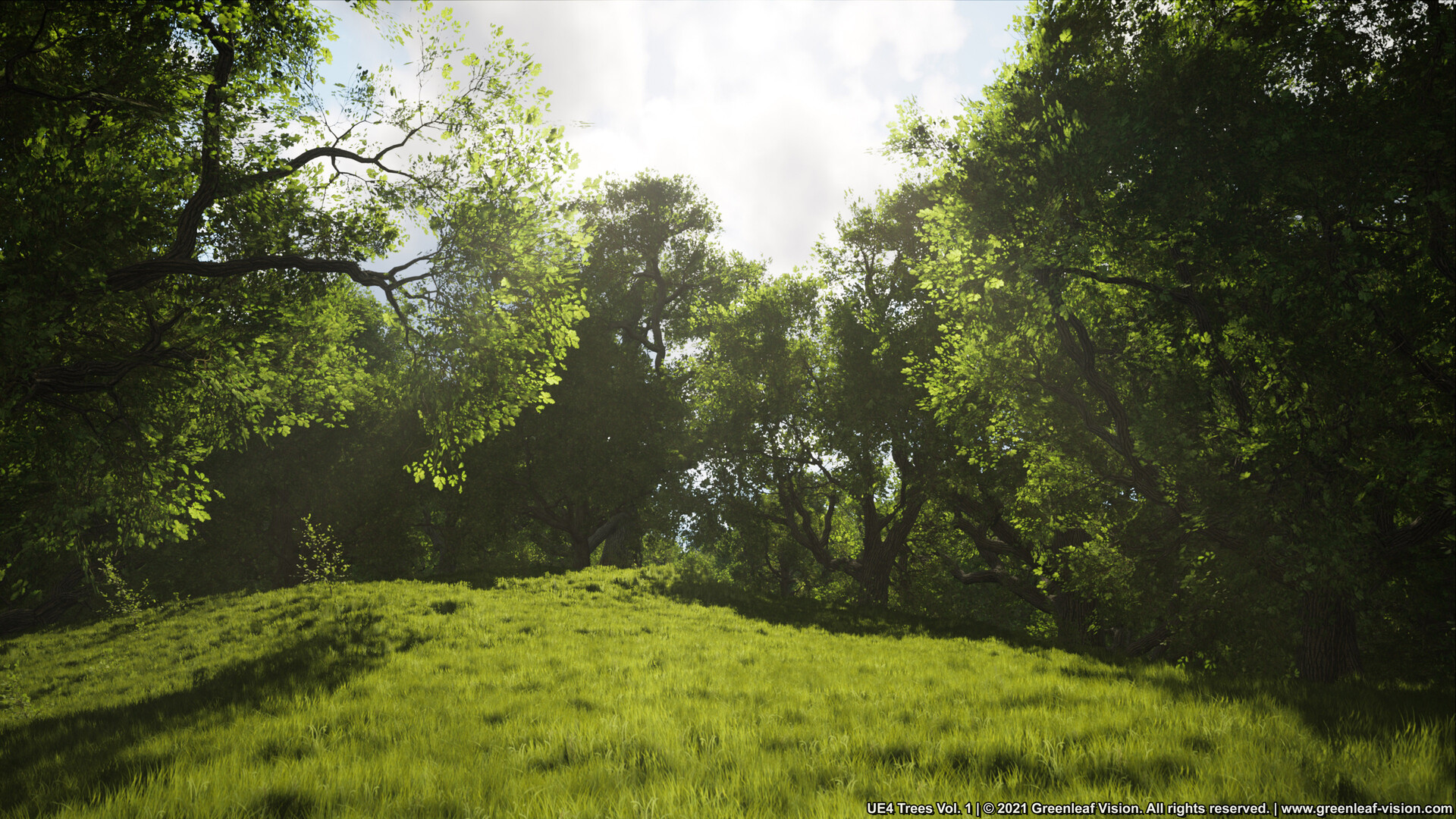 Benjamin Koch - Trees Vol. 1 Pack - Update V1.4 - Unreal Engine 4