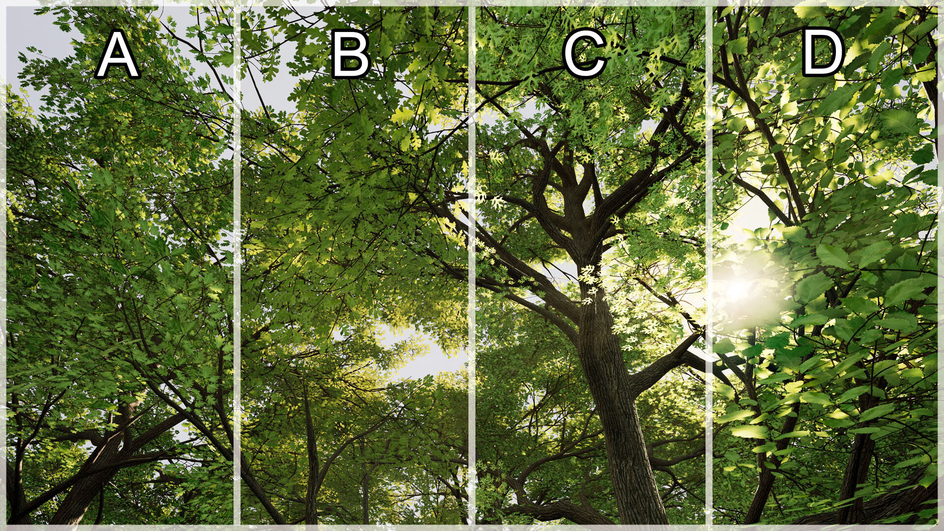 Benjamin Koch - Trees Vol. 1 Pack - Update V1.4 - Unreal Engine 4