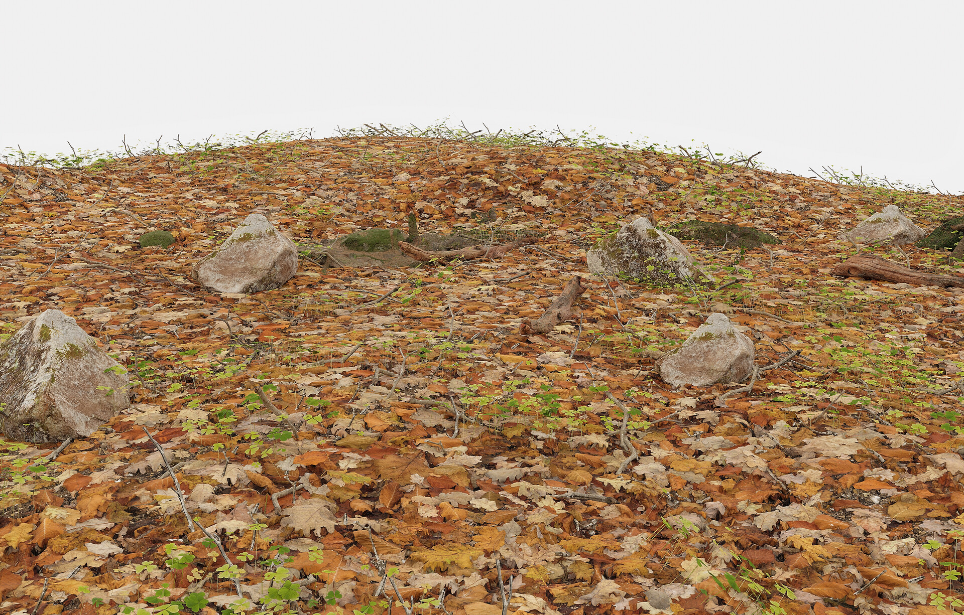 ArtStation - Forest Floor Test