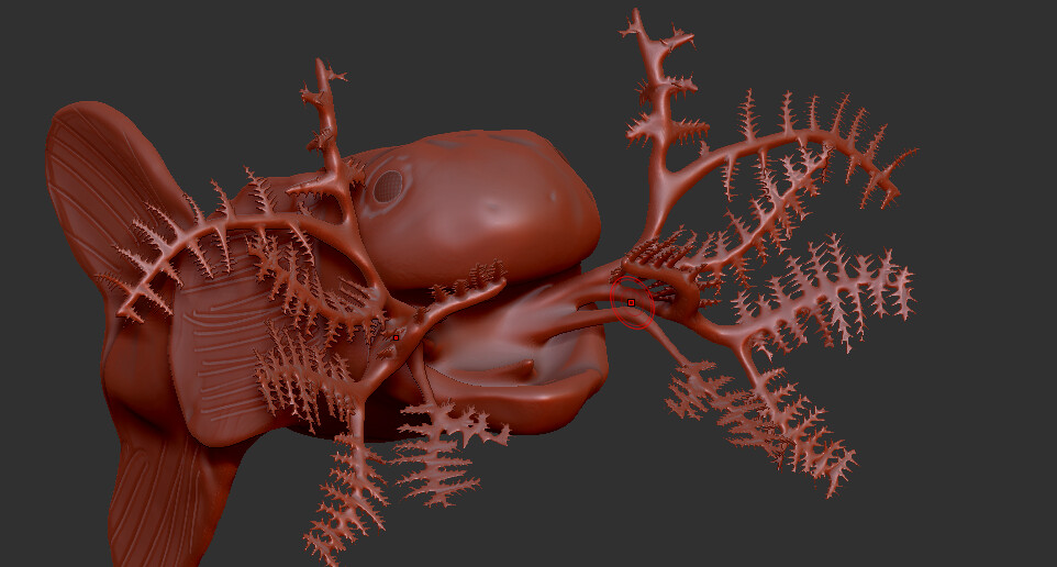 Riley Wood - January 28th