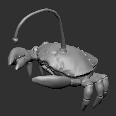 Riley Wood - Portfolio