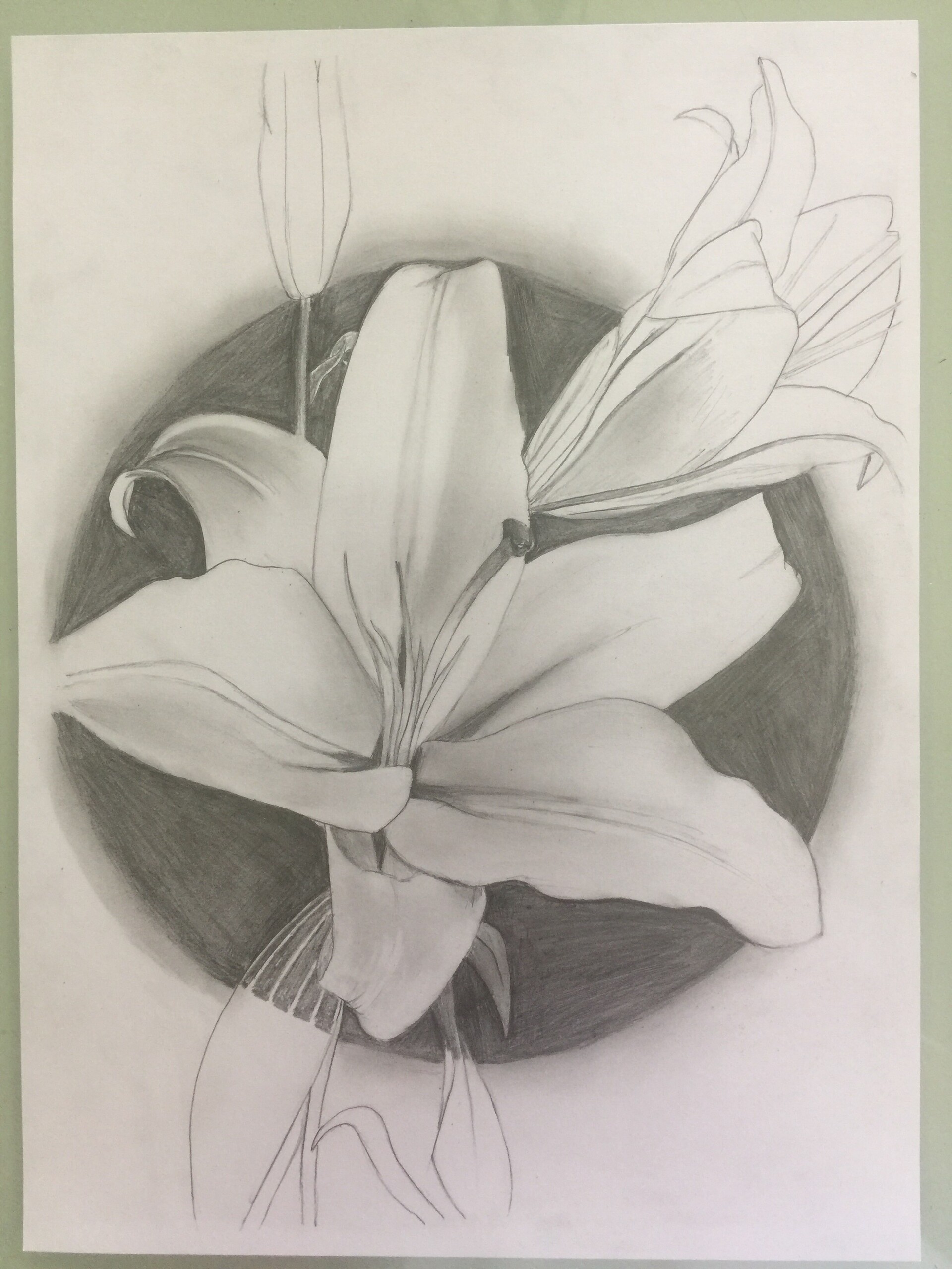 ArtStation - Old Hand-drawn pieces