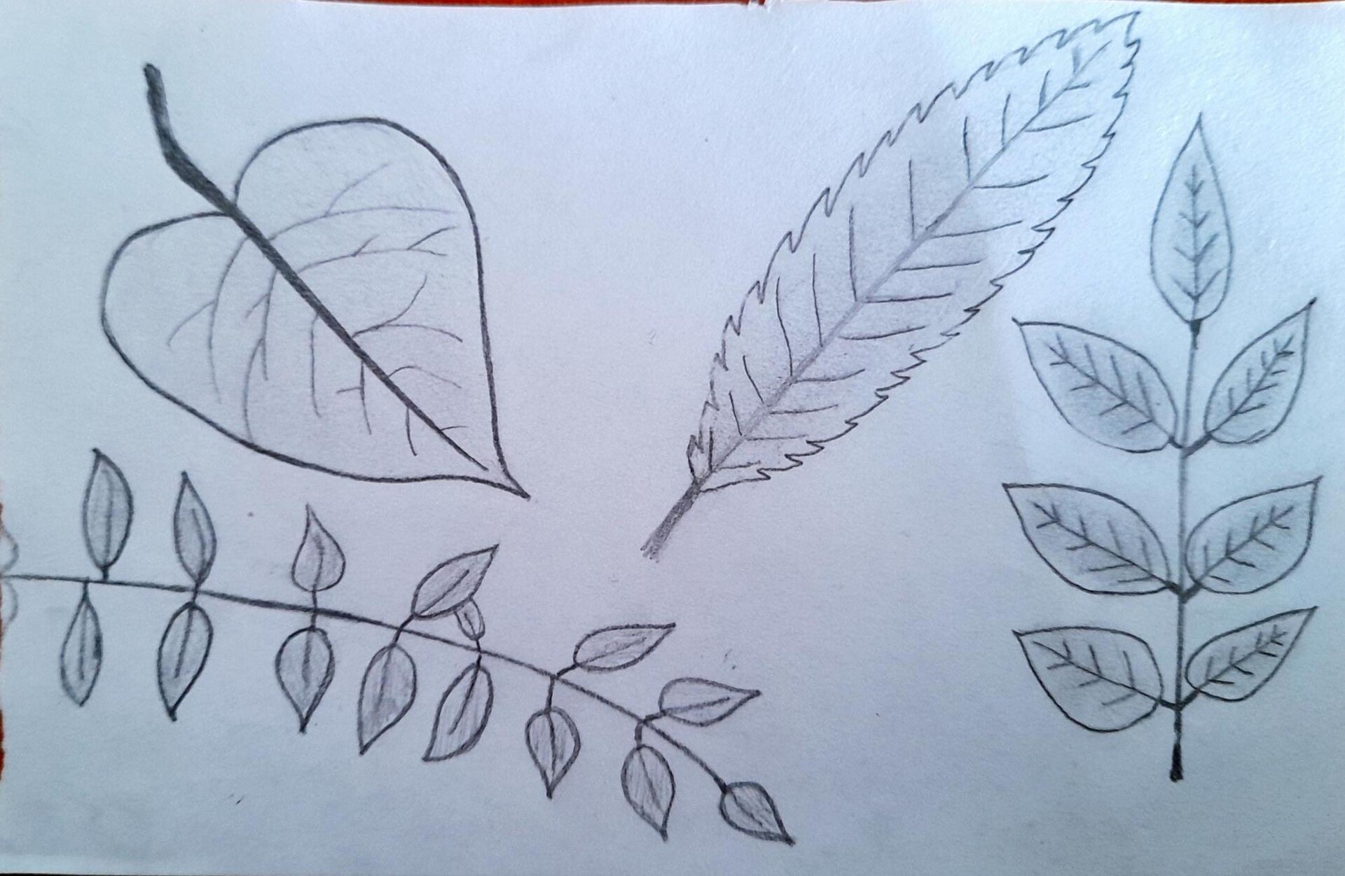 ArtStation - Leaf Studies