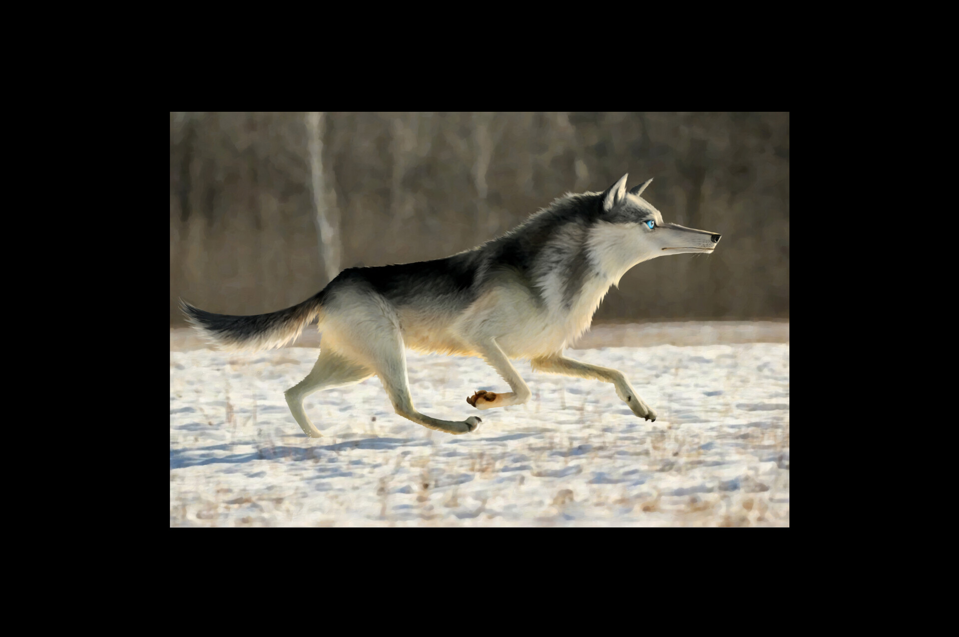 ArtStation - Wolf :: Cartoon :: Concept Art