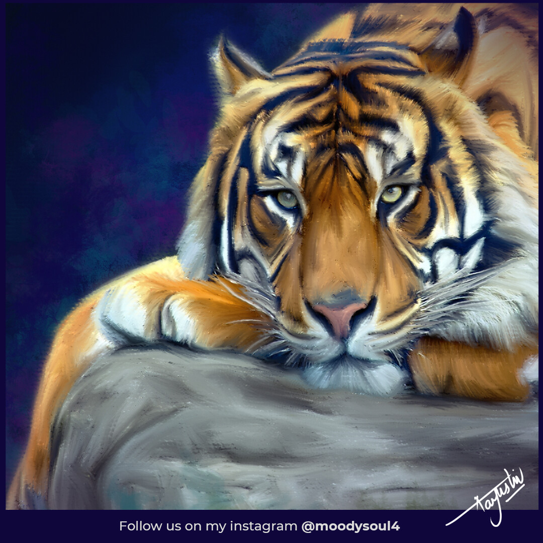 ArtStation - Restless Tiger