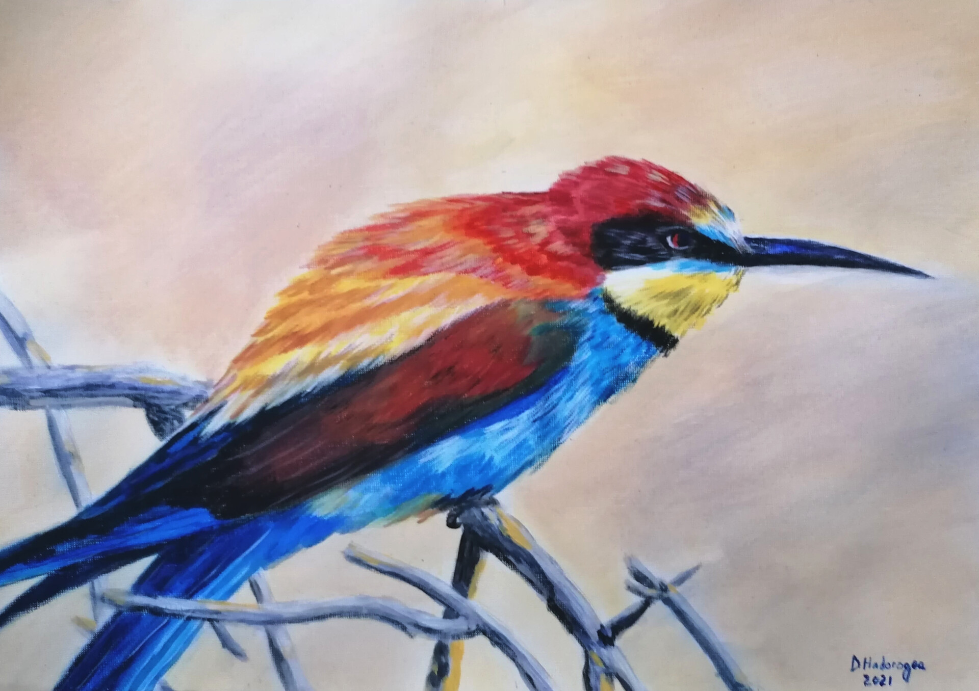 ArtStation - Prigorie (Merops apiaster)