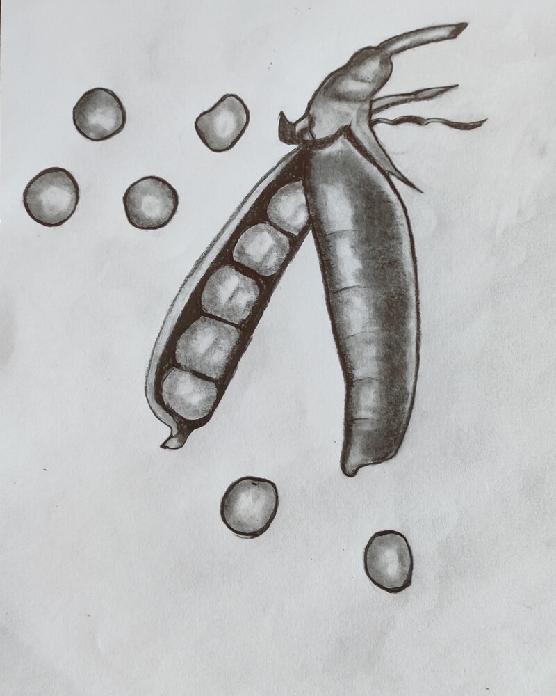 ArtStation - Ayushi Katuwa