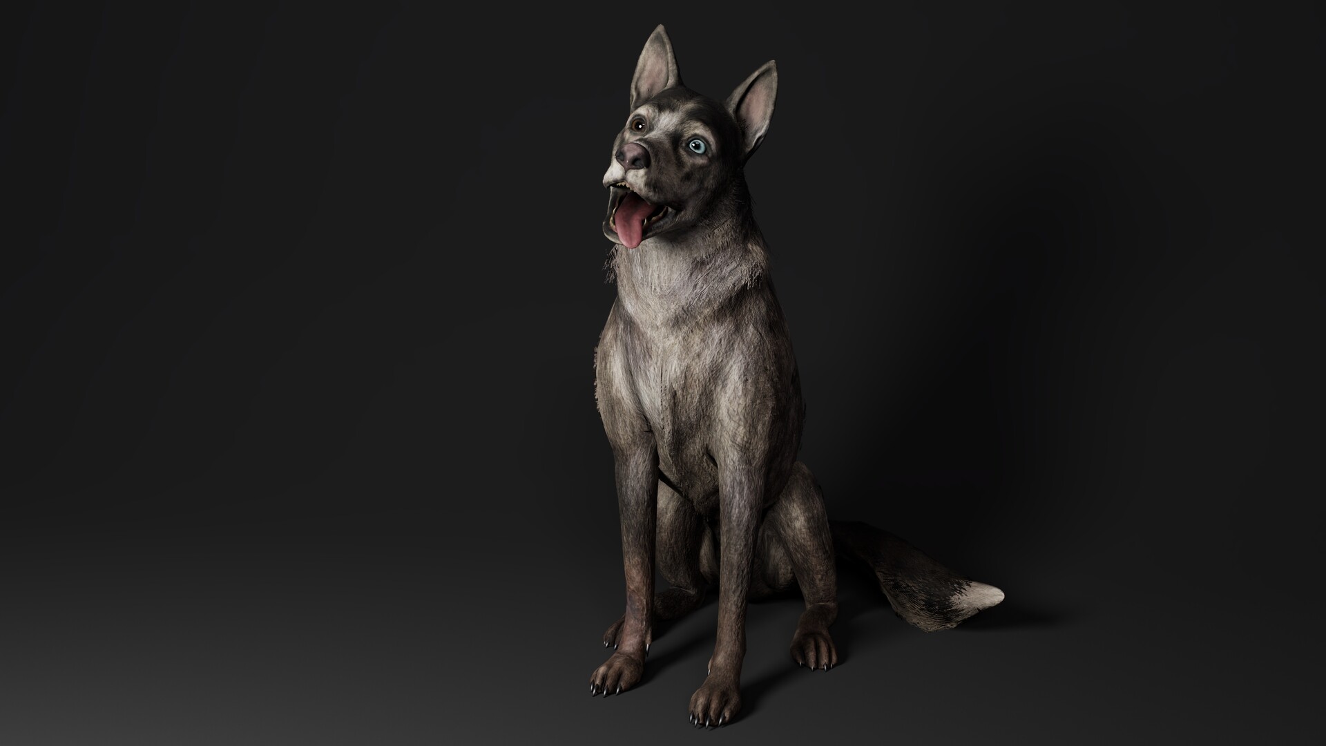 fallout 3 dog