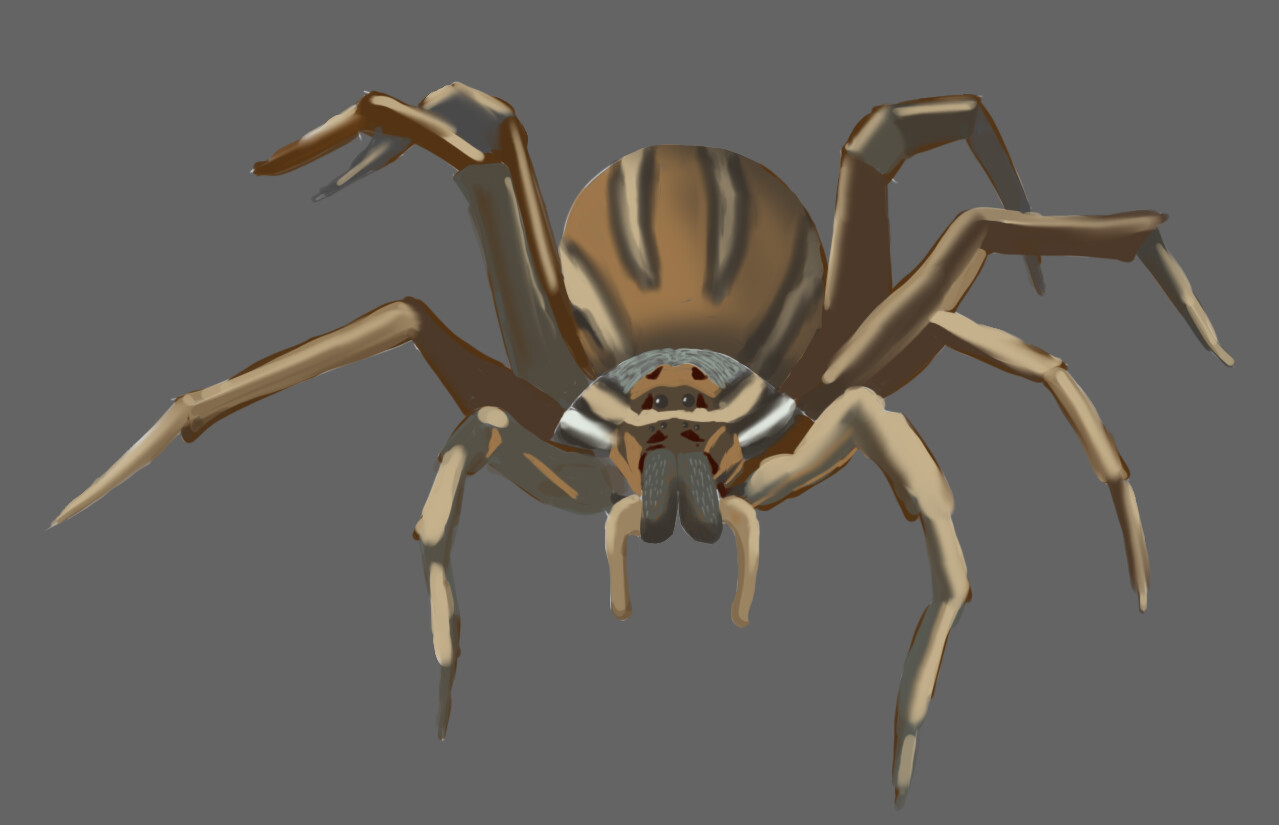 ArtStation - Spider Study