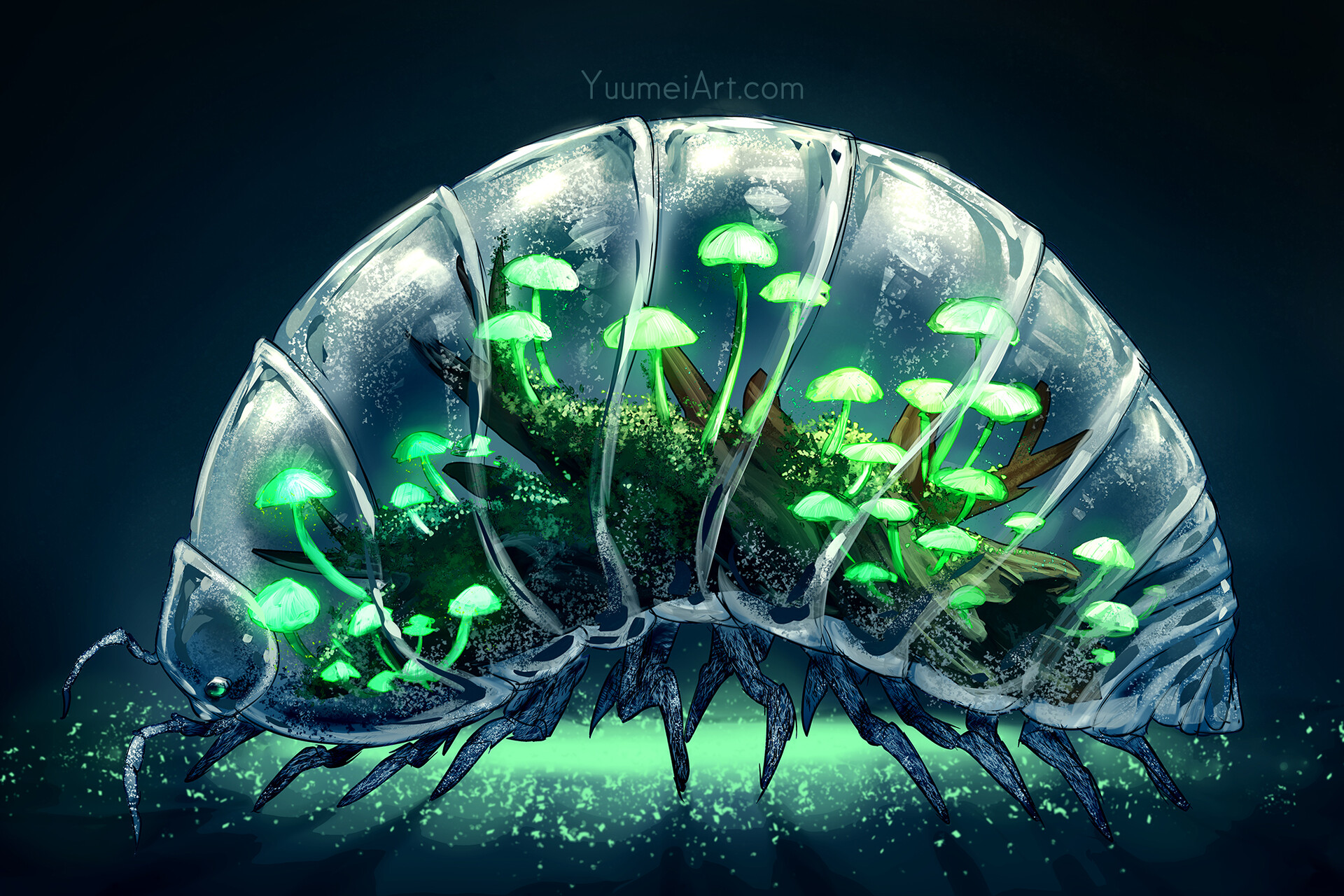 ArtStation - Worlds Within: Pill Bug Terrarium