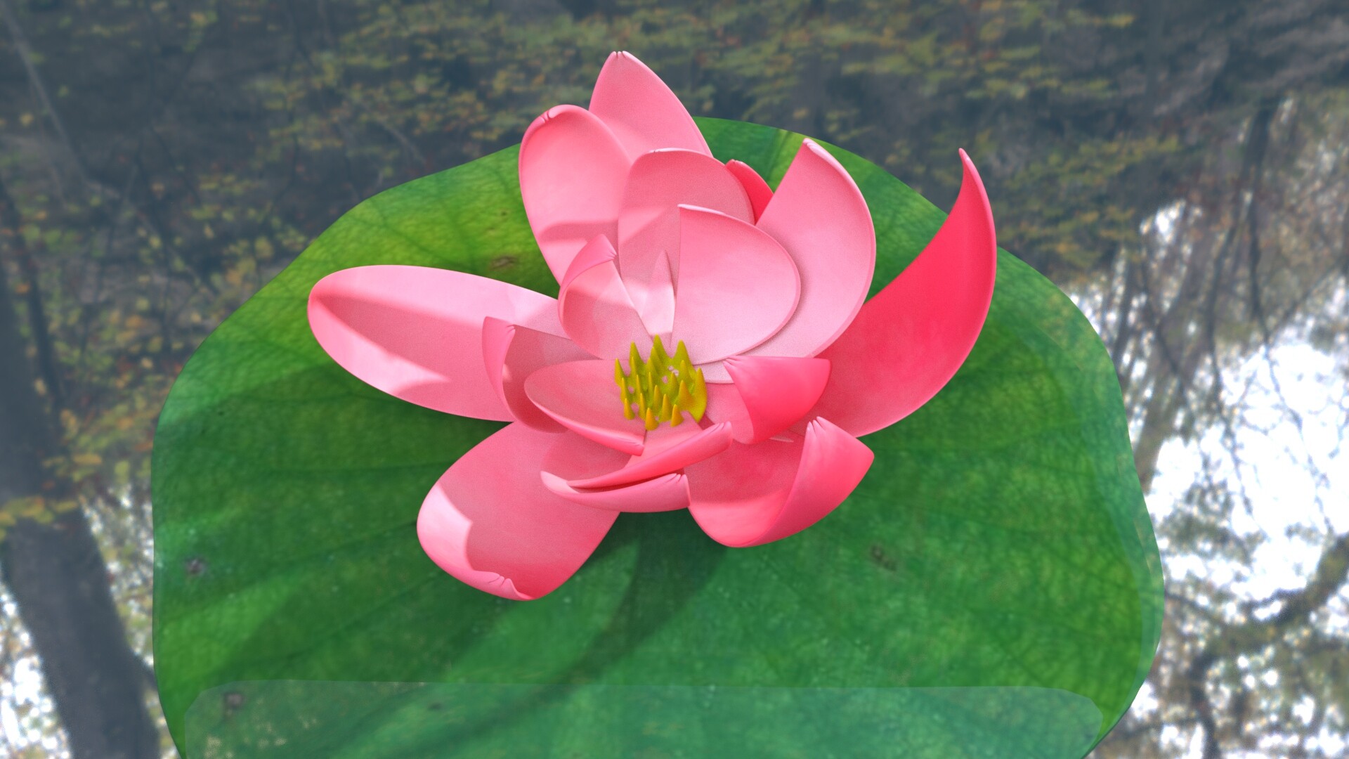 ArtStation - Lotus Flower