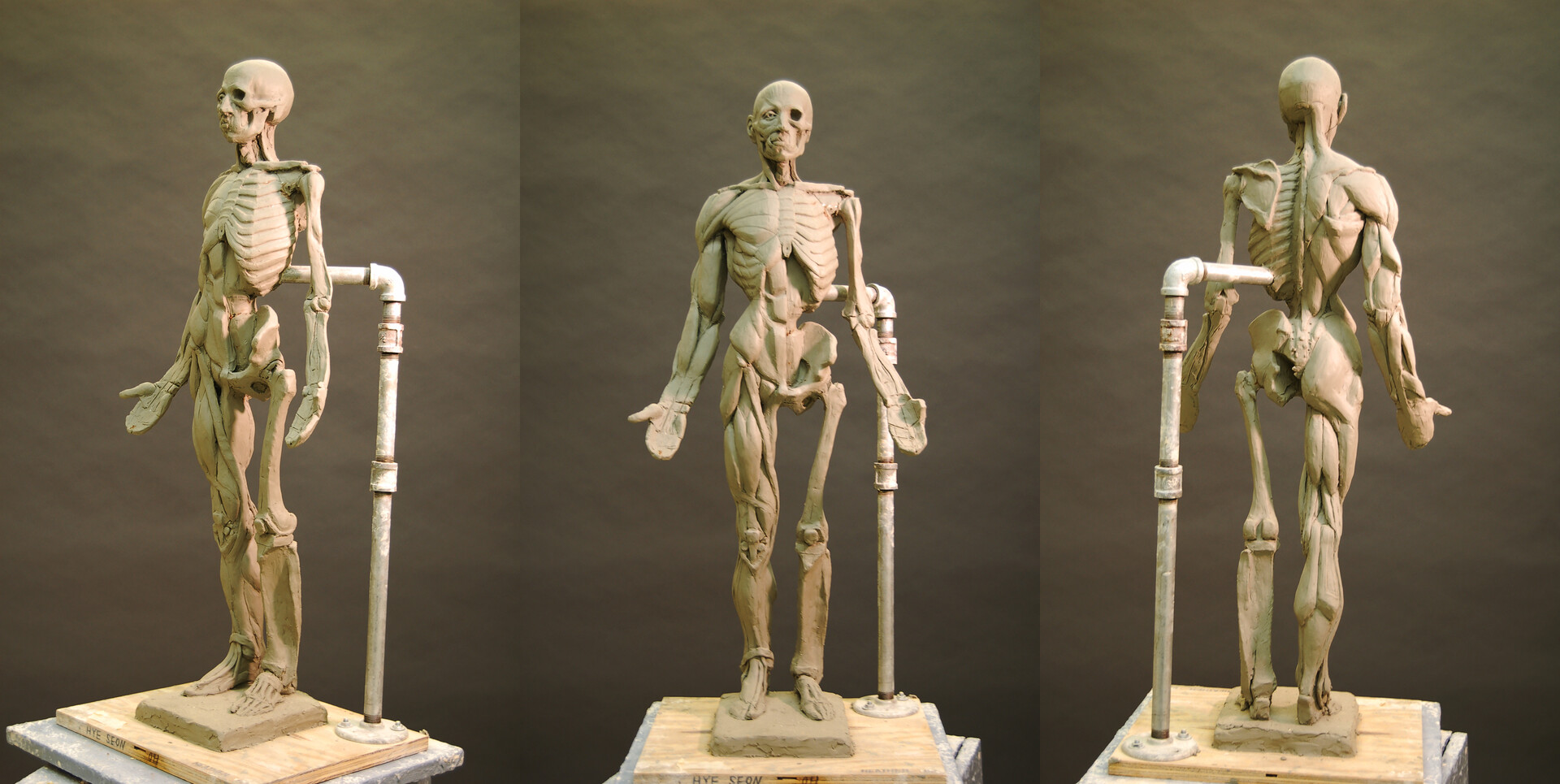 Hyeseon Oh - Ecorche (2006)