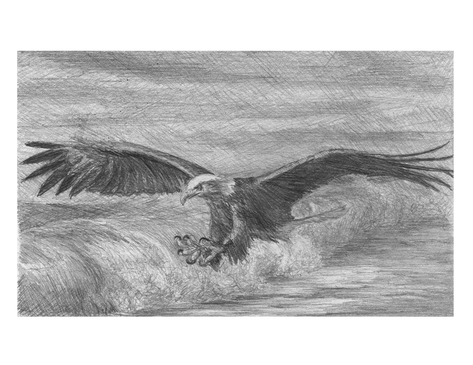 Mike Harris - Bird of Prey