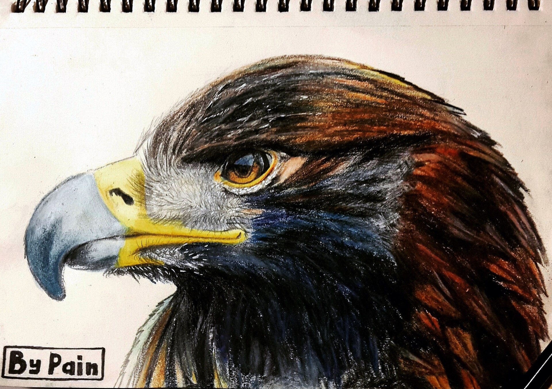 ArtStation - Eagle
