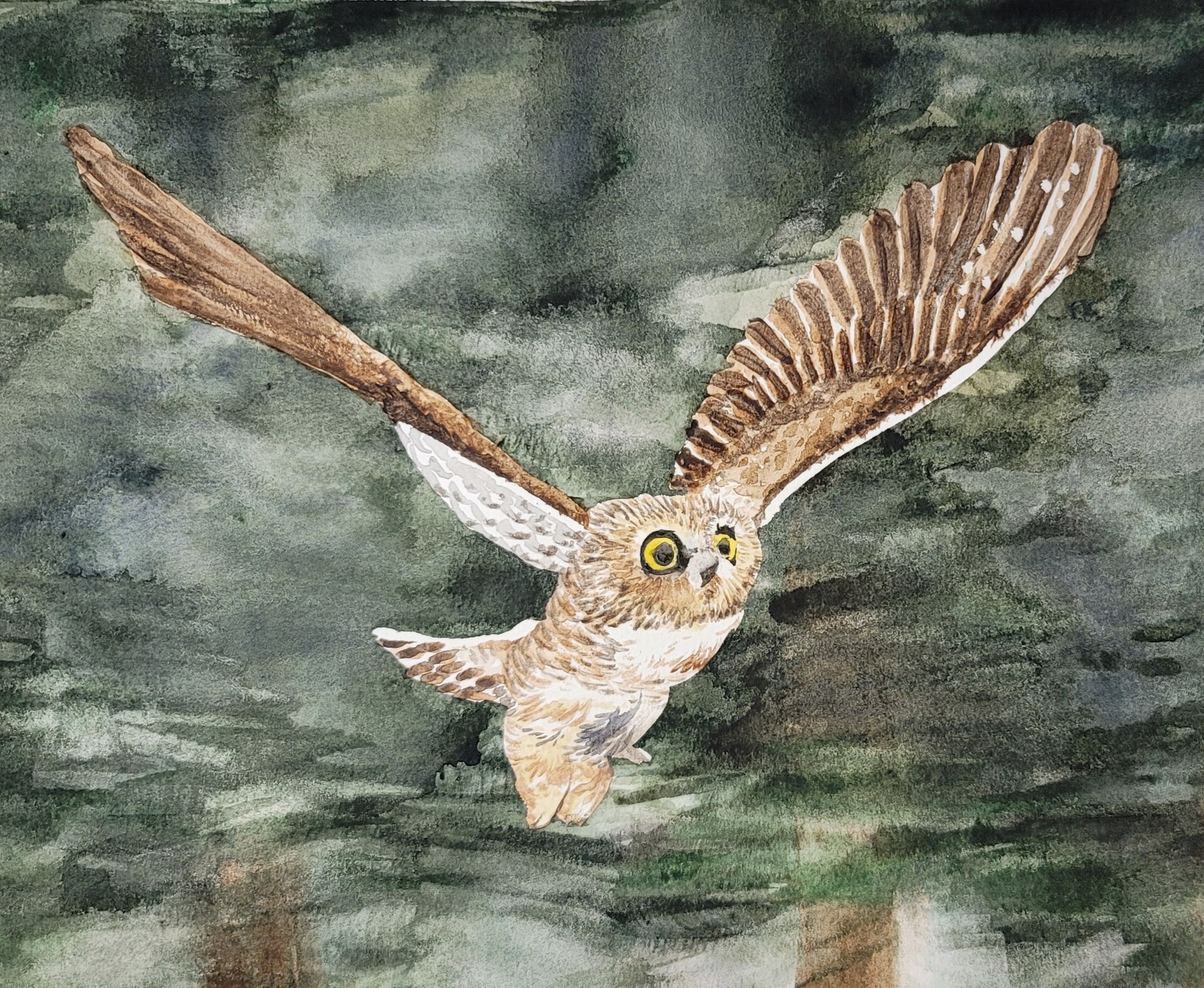 ArtStation - Bard Owl