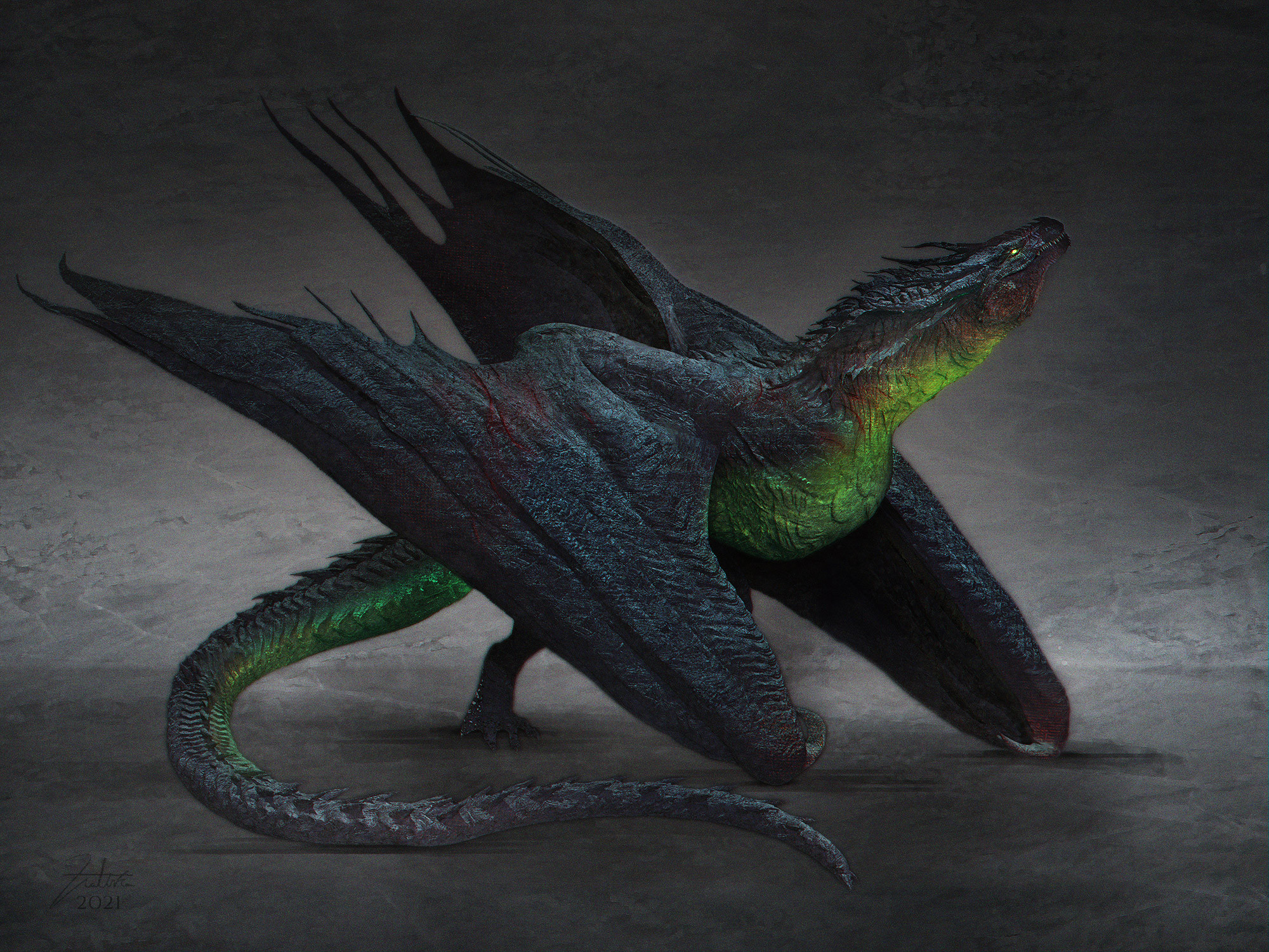 "Wyvern" by Katinka Thorondor : r/ImaginaryDragons