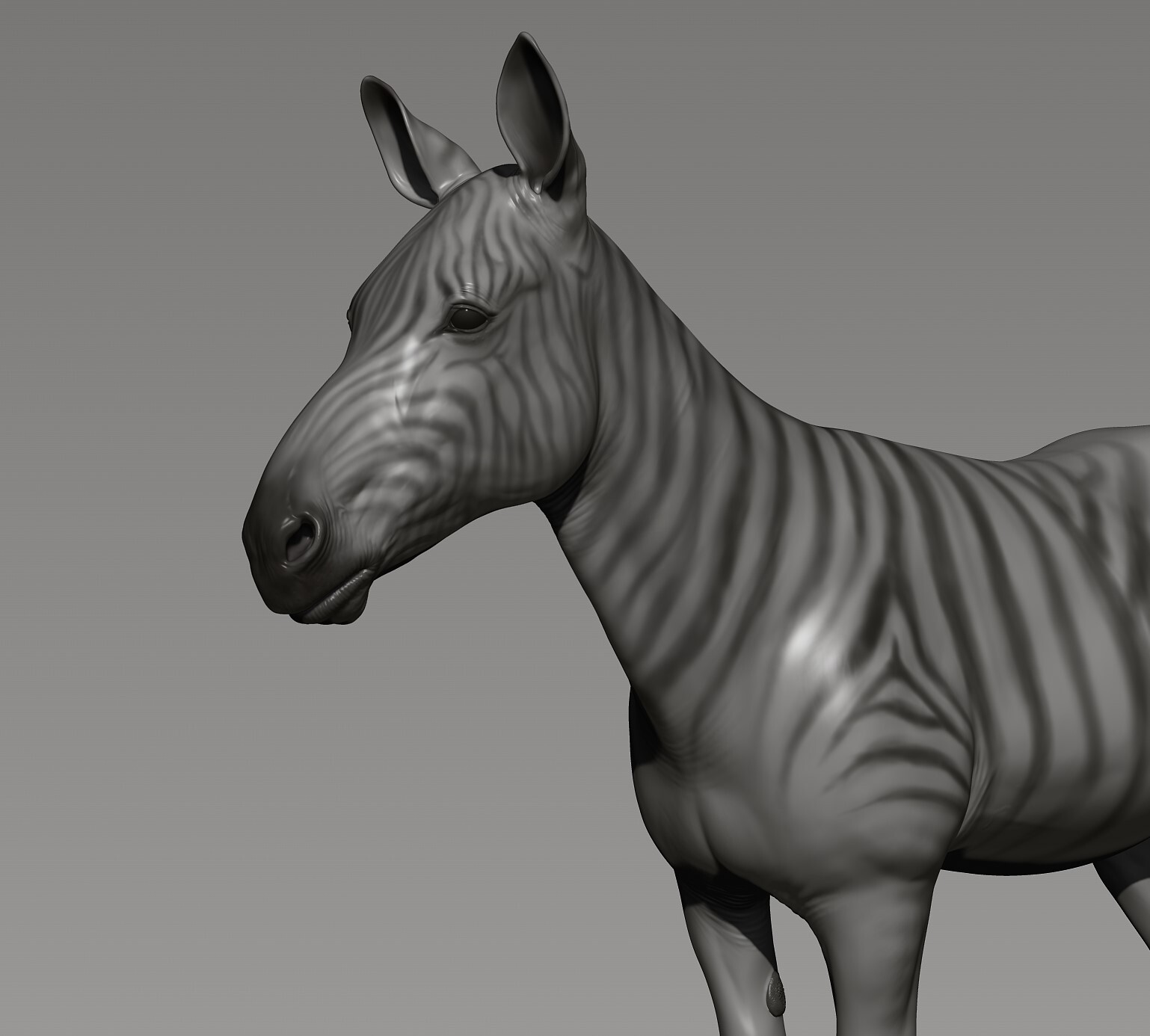 ArtStation - Zebra Study WIP