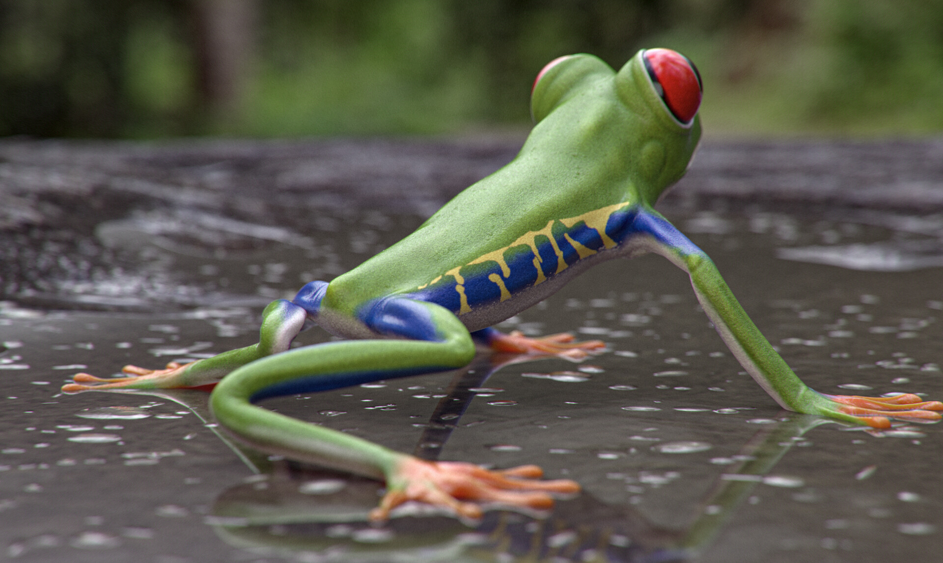 ArtStation - Red-eyed tree frog