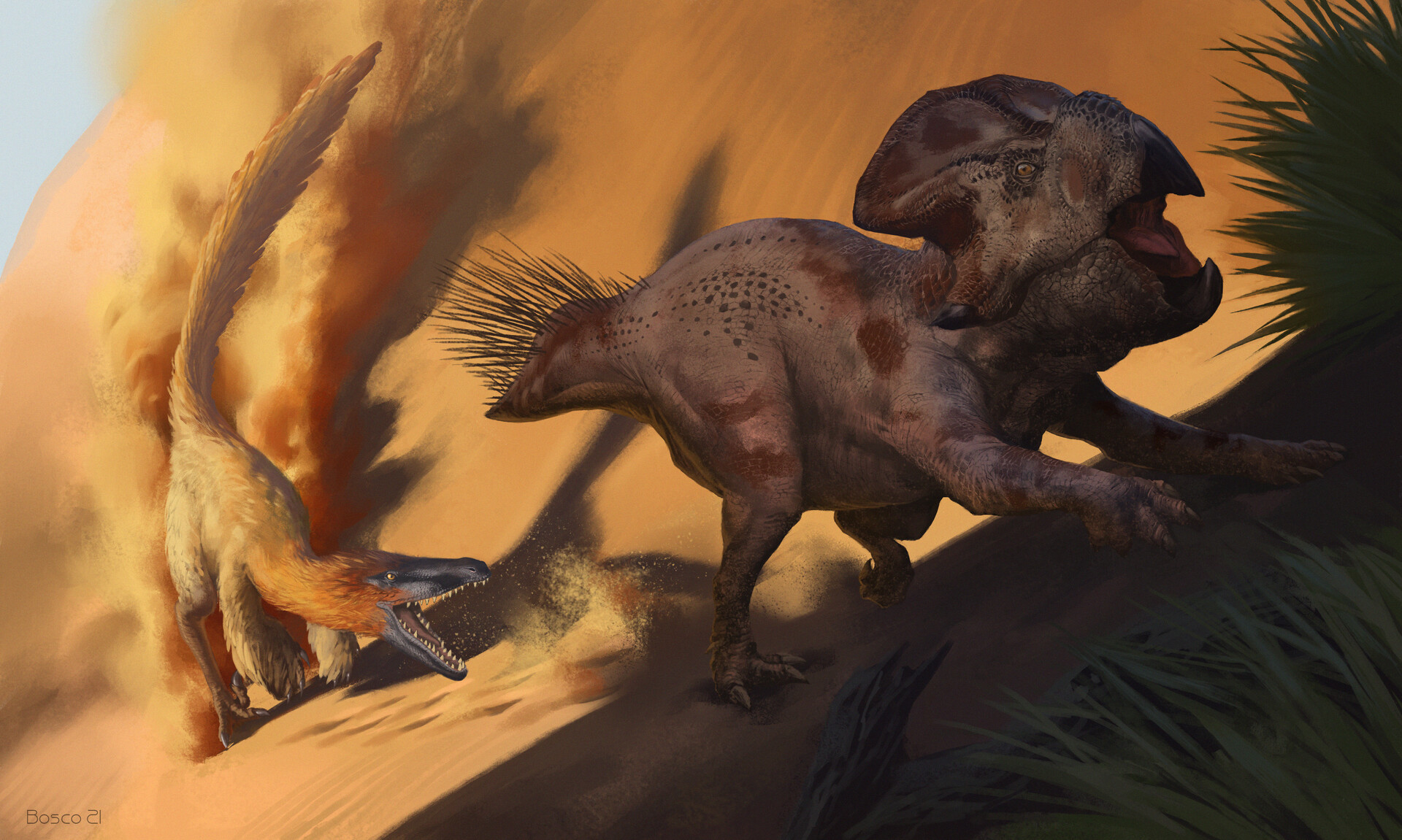 Velociraptor Vs Protoceratops