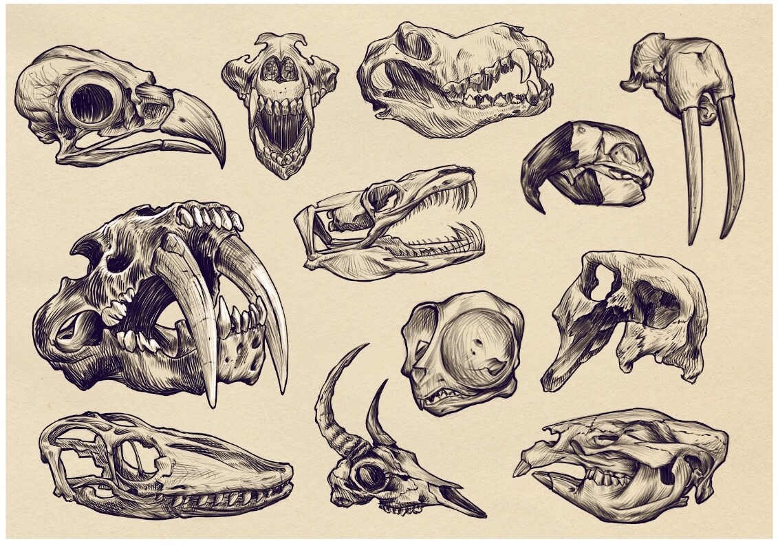 ArtStation - Skulls