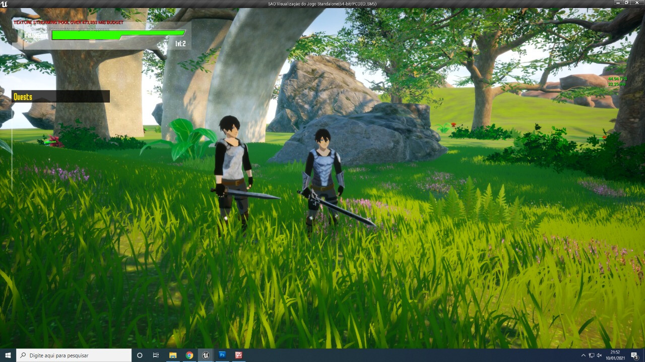 Sao Mmo Game