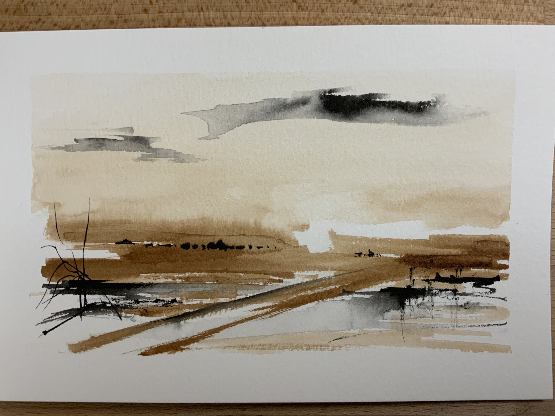 ArtStation - Ink Abstract Landscapes