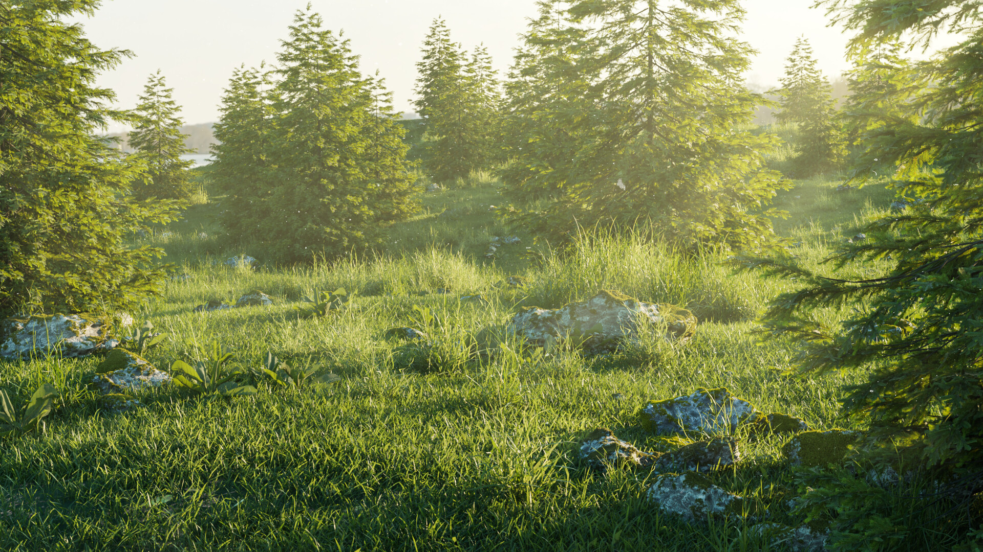 ArtStation - MEADOWS