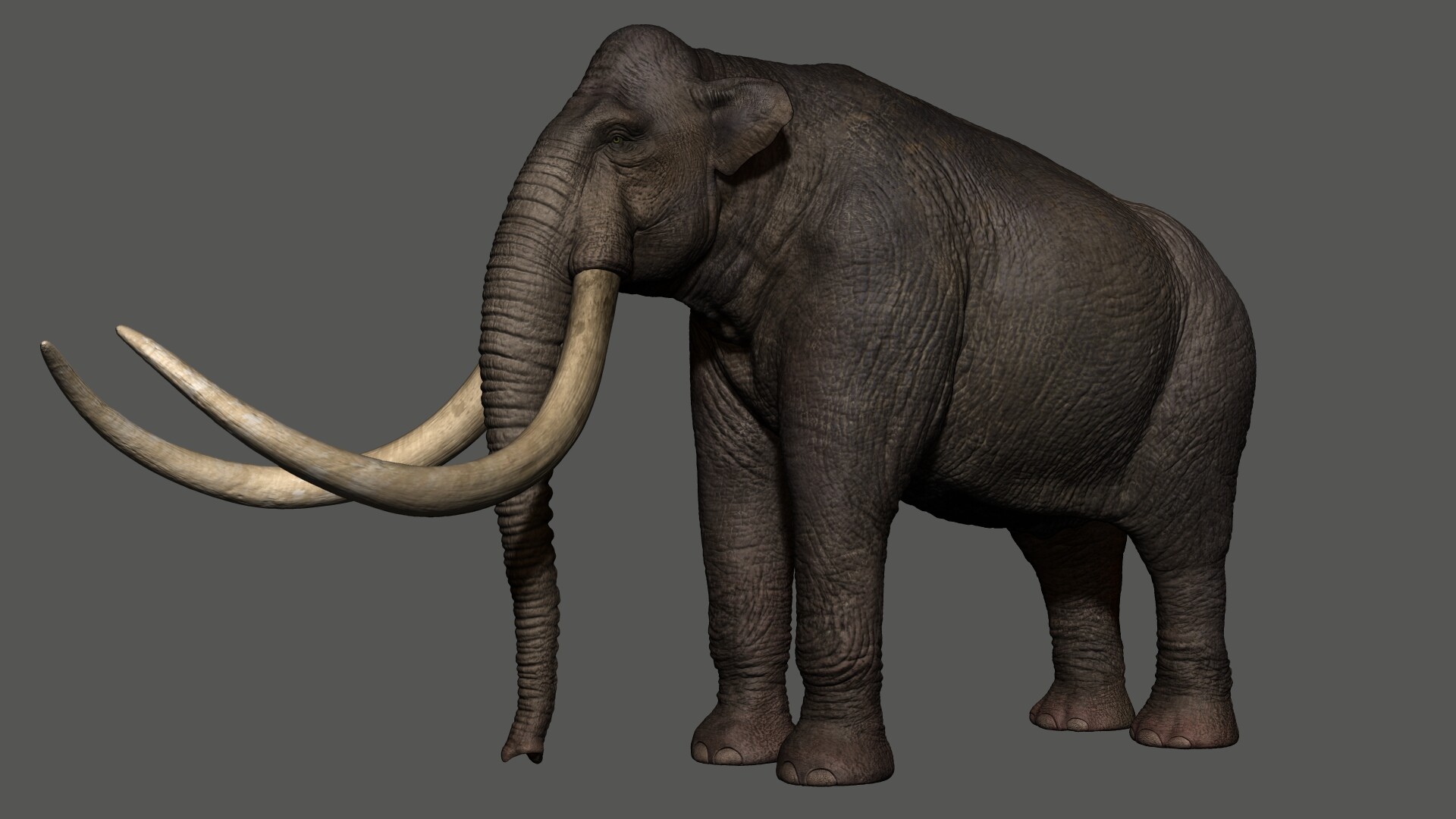 Fernando Usabiaga Bustos - Steppe Mammoth