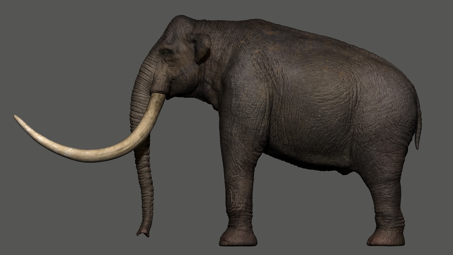 Fernando Usabiaga Bustos - Steppe Mammoth