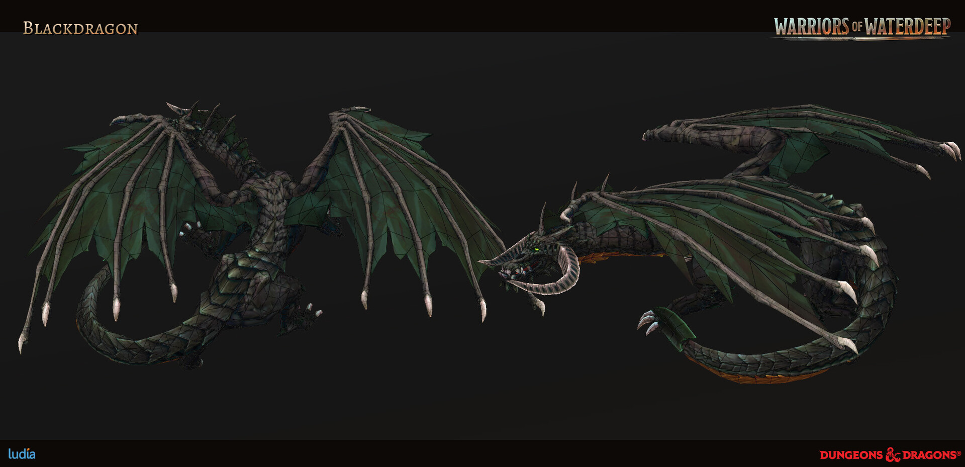 How do you use black dragon viewer camera - gsesail