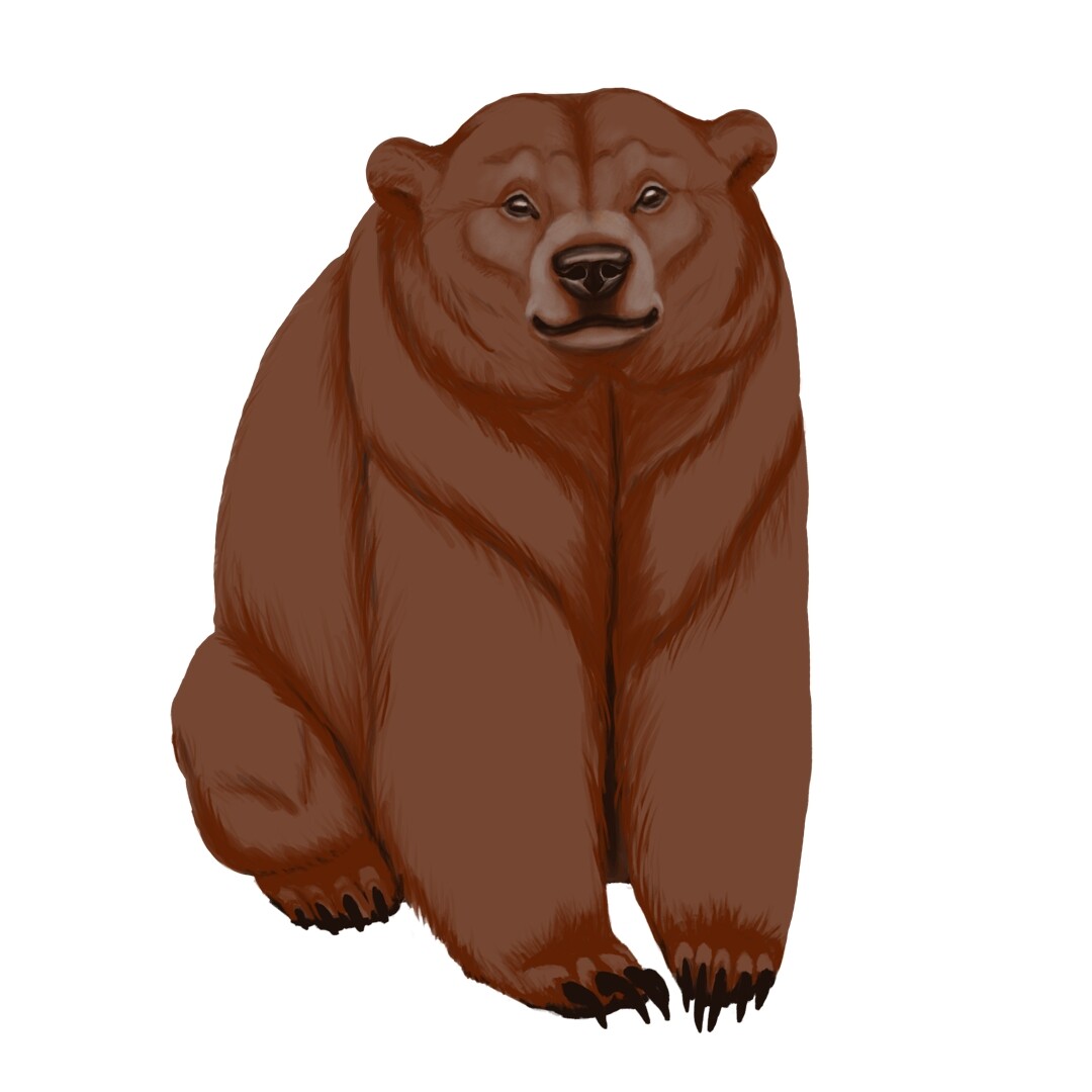ArtStation - Bear