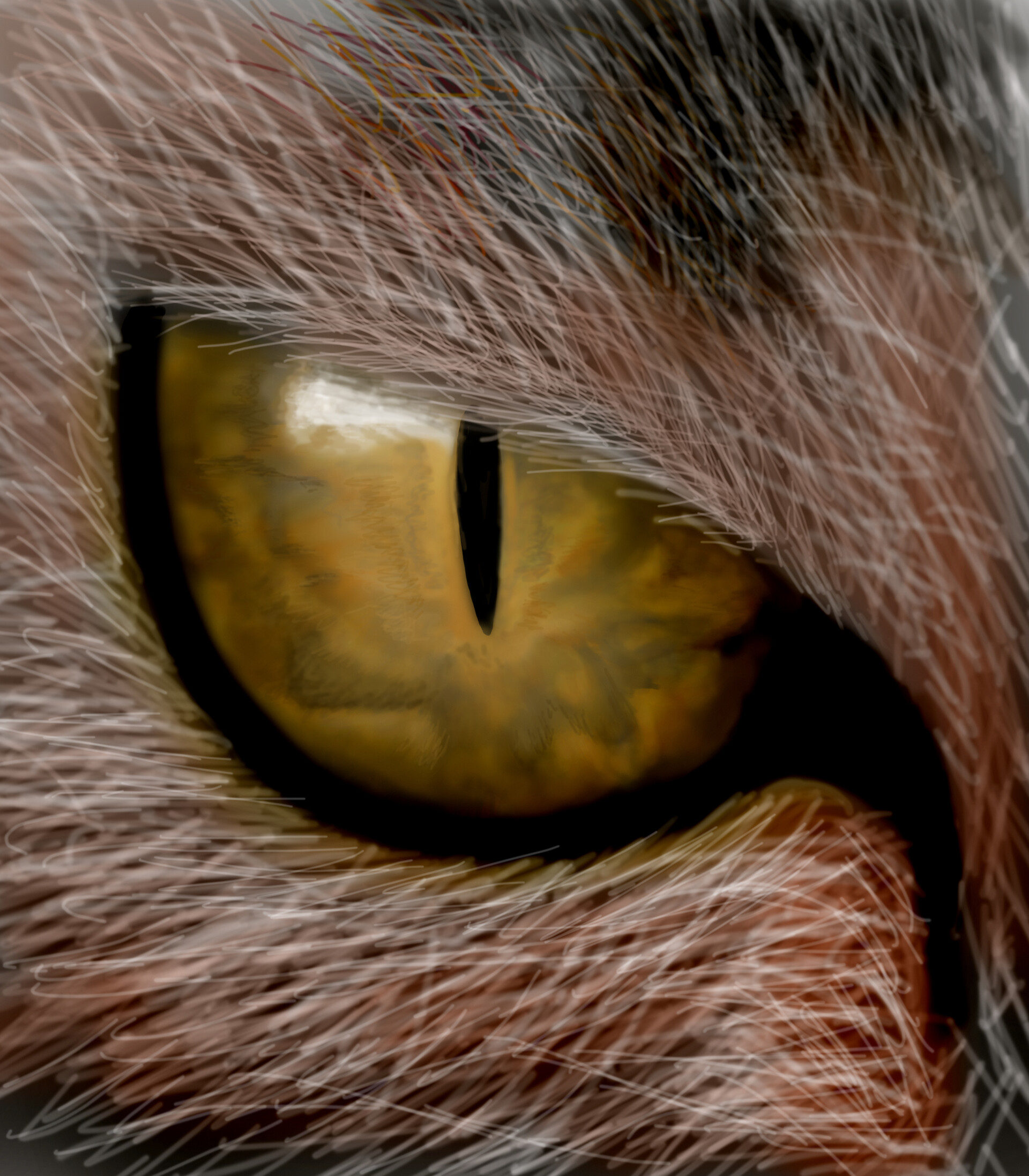 ArtStation - Cat eye