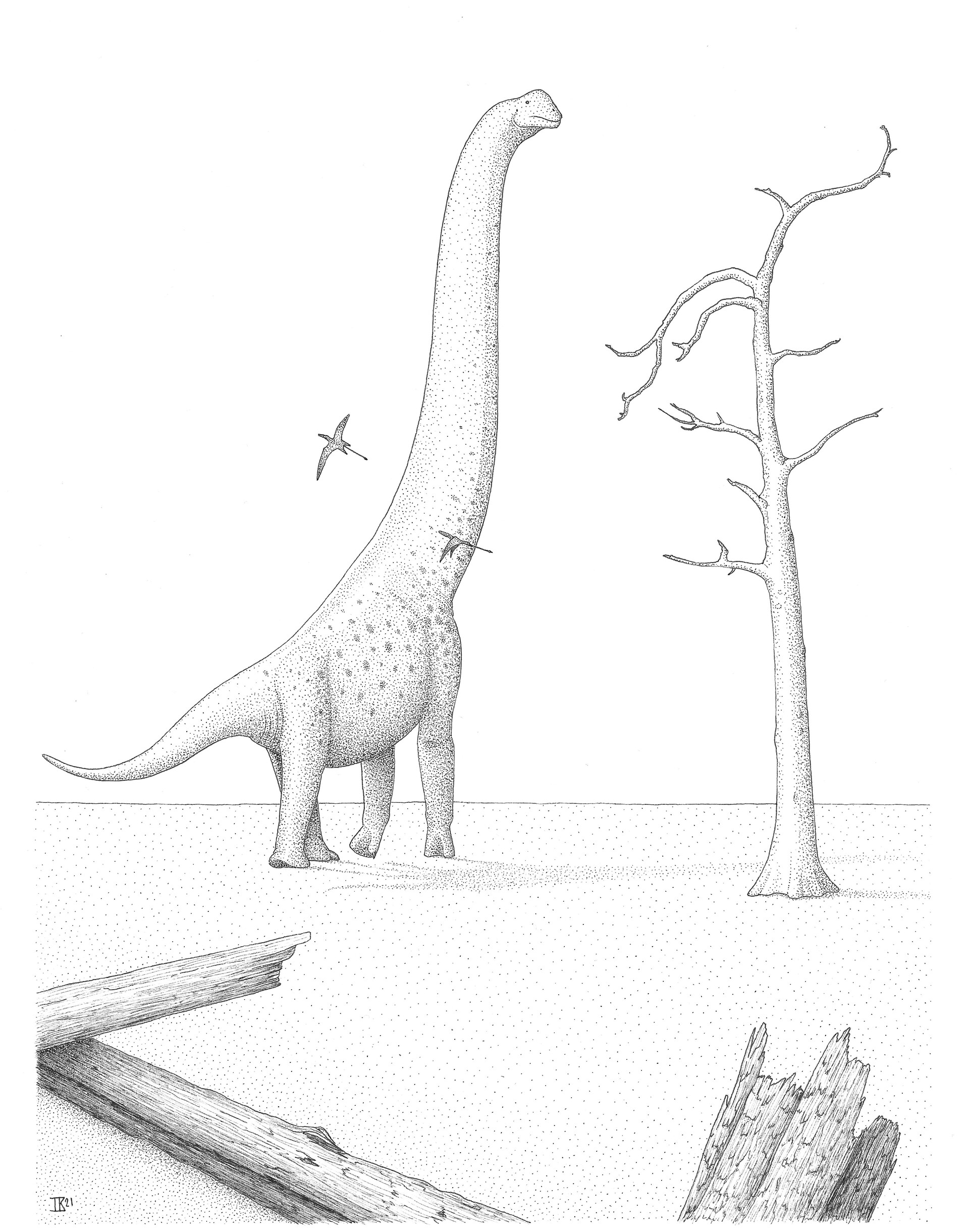 giraffatitan coloring page