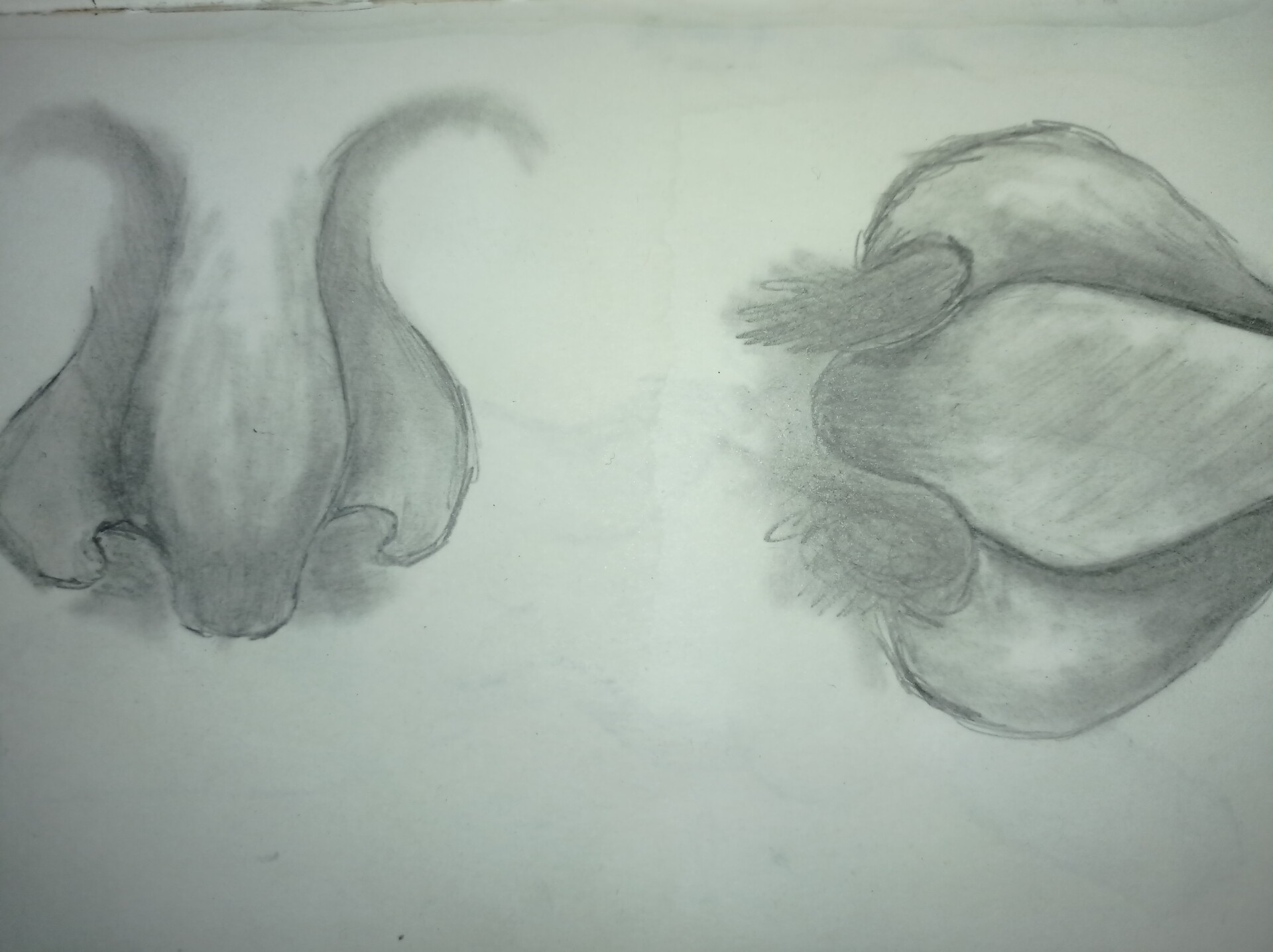 ArtStation - Nose anatomy.