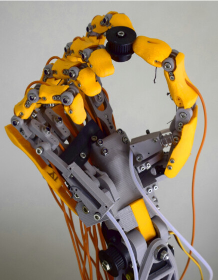 Will Cogley - Biomimetic Bionic Hand Engineering Project
