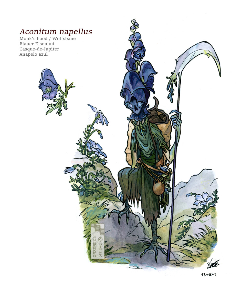 ArtStation - Feybruary III - Aconitum napellus