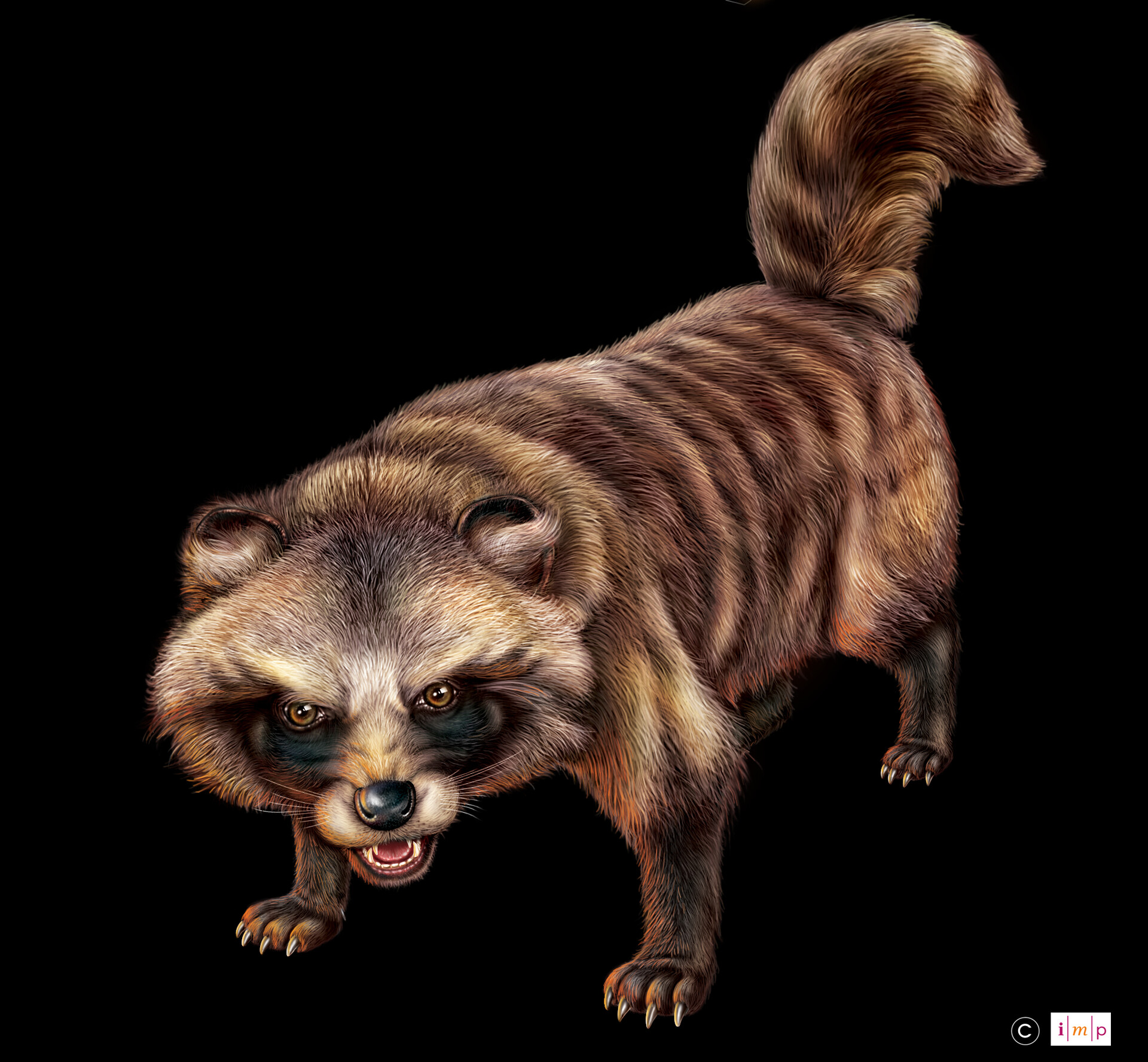 Where Are Raccoon Dogs Found