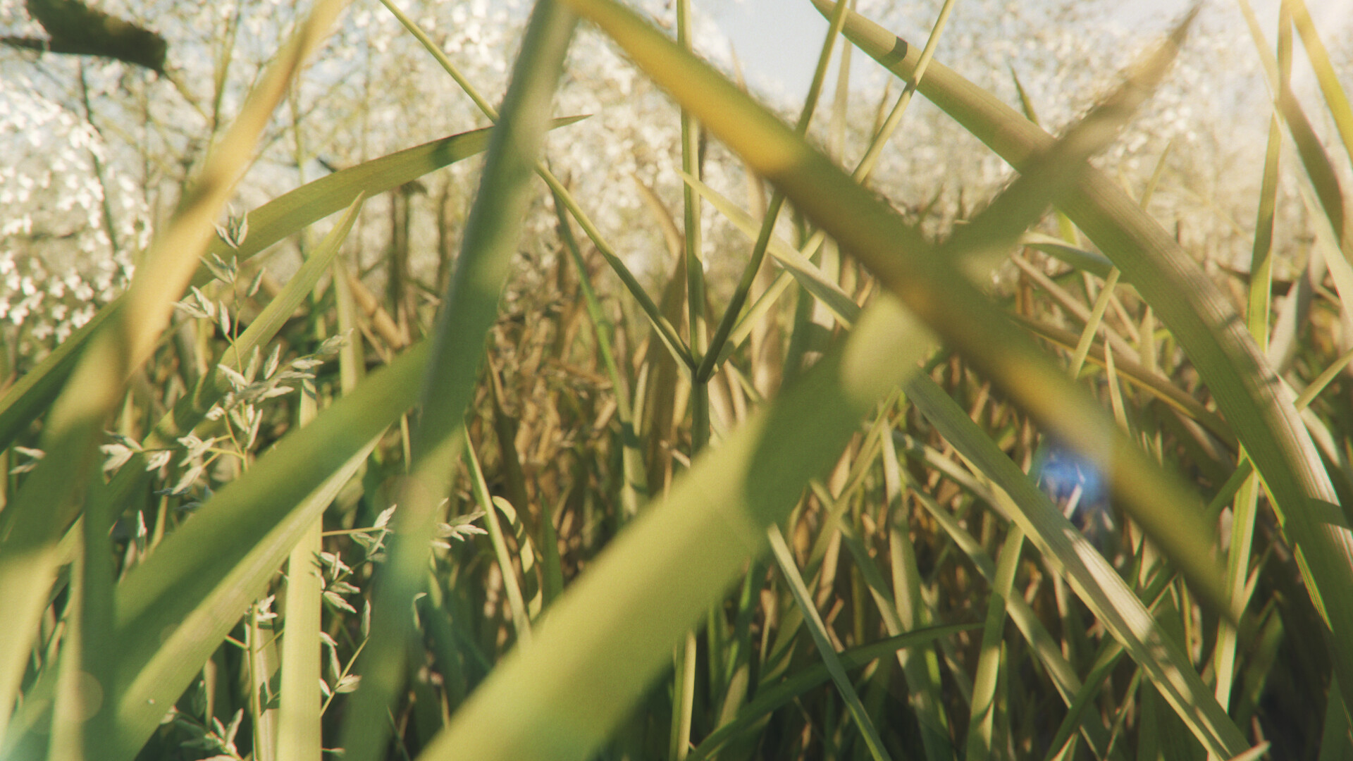 ArtStation - Grass Close-up